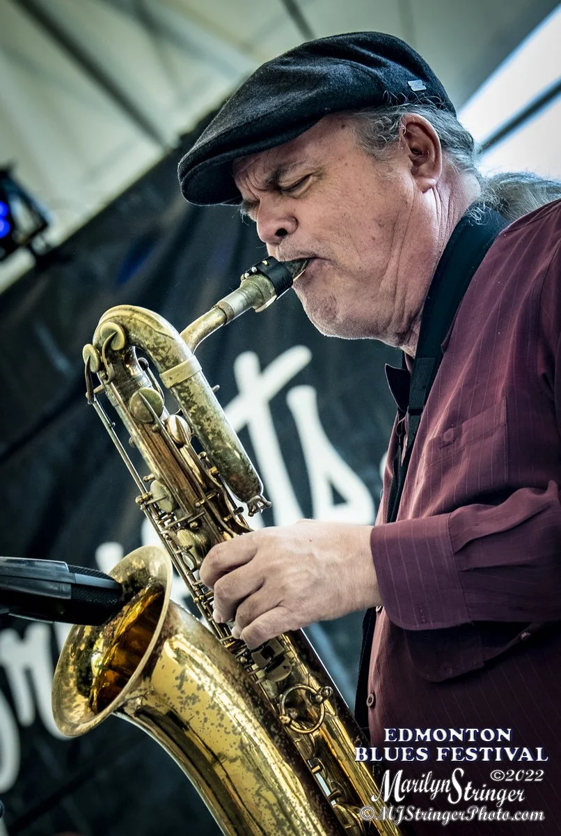 String Quartet Smackdown - Golden Hornet — Golden Hornet