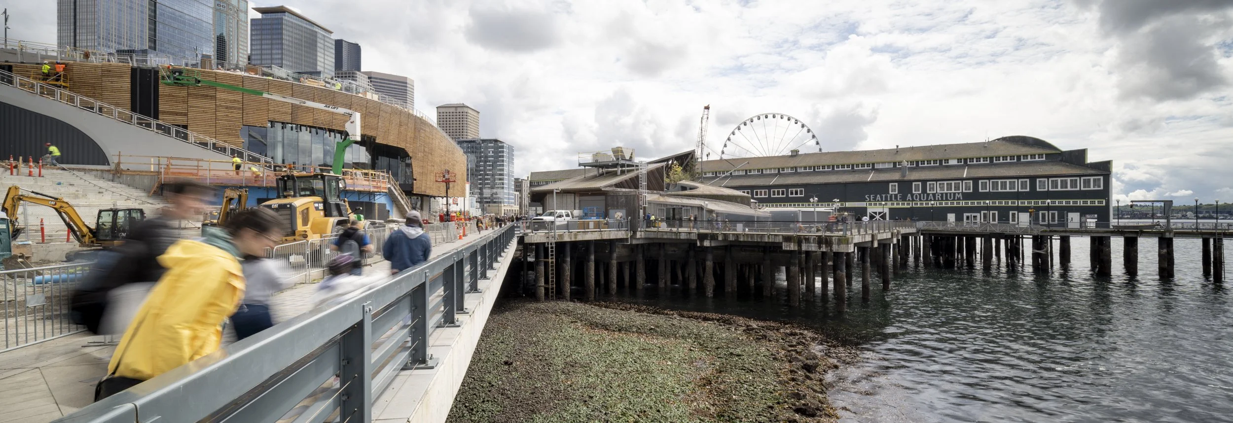 Seattle Overlook Walk — KIRK HOSTETTER PHOTOGRAPHY