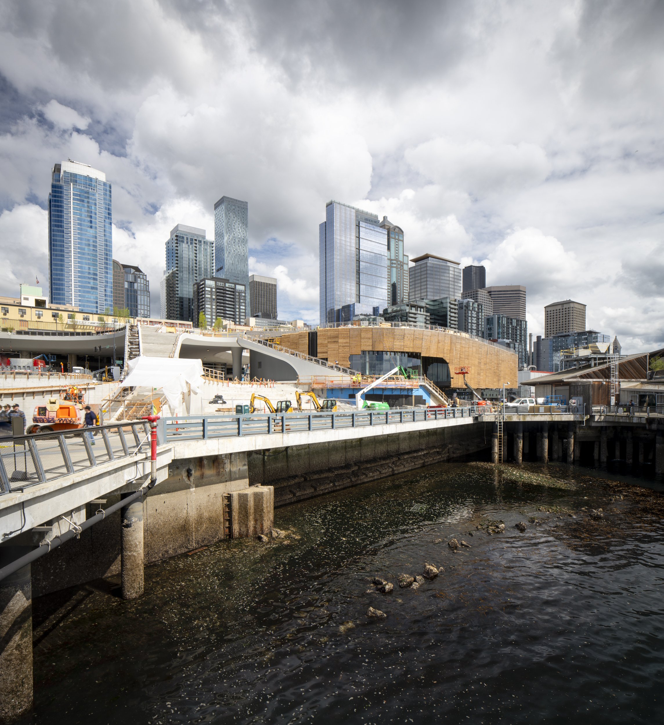 Seattle Overlook Walk — KIRK HOSTETTER PHOTOGRAPHY