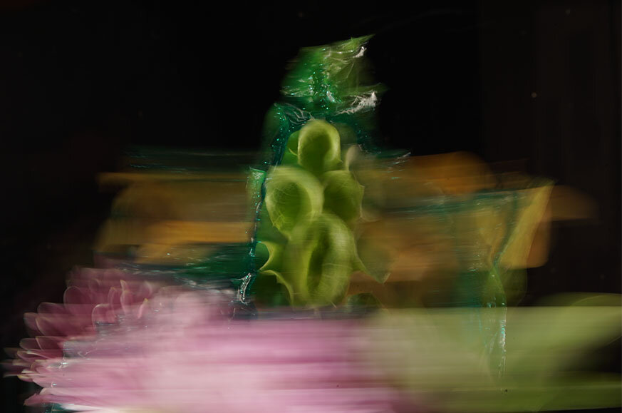 ONION CITY PROGRAM 2: MASS EXTINCTION PSYCHODRAMA | JUNE 9-13 — Chicago ...