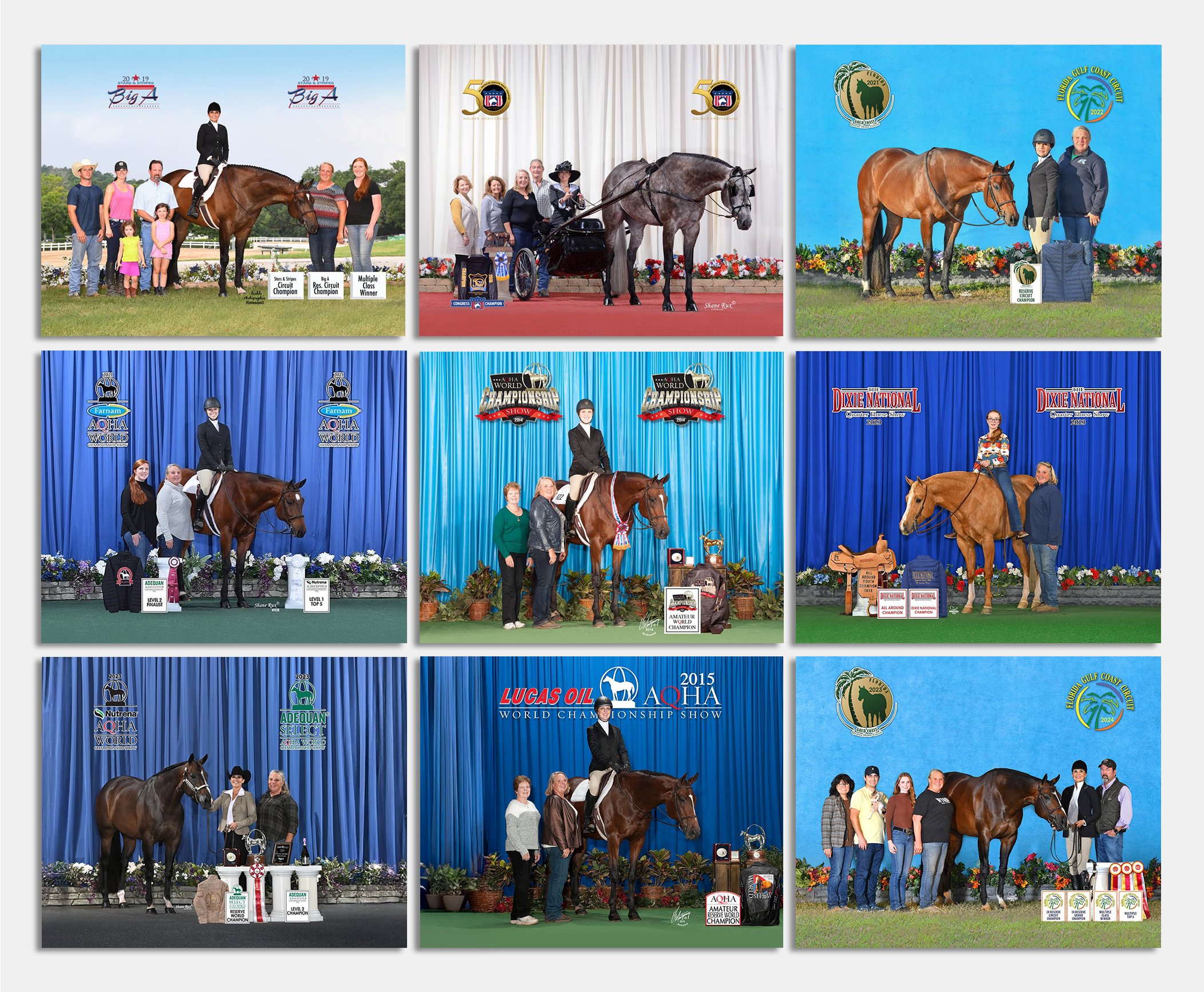 Gold Sponsor Showcase: Cathy's Performance Horses — Tennessee Quarter ...