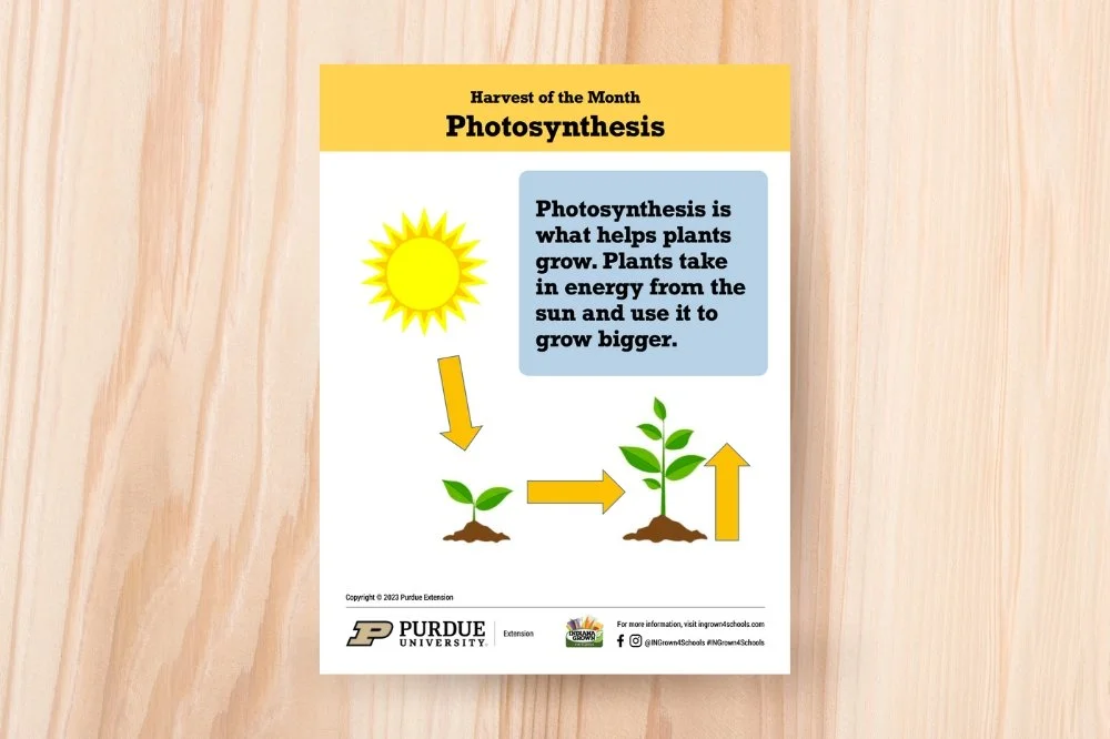 Photosynthesis Poster ・ Indiana Grown for Schools