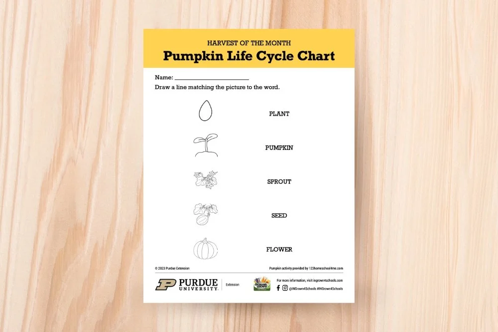 Pumpkin Life Cycle Chart ・ Indiana Grown for Schools