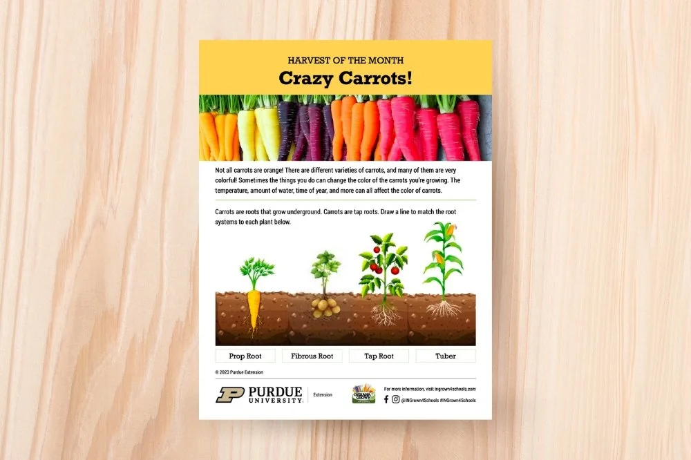 Crazy Carrot Worksheet ・ Indiana Grown for Schools