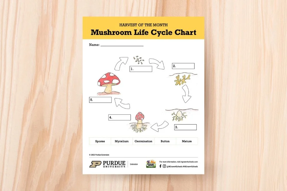 Mushroom Life Cycle Chart ・ Indiana Grown for Schools