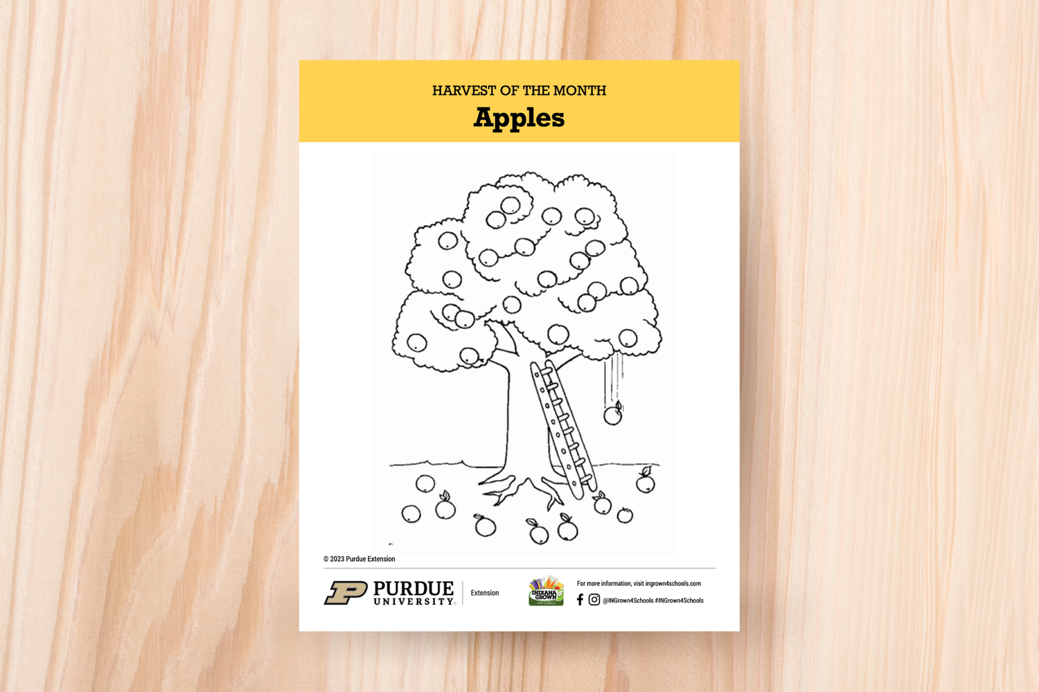 Apple Coloring Sheet ・ Indiana Grown for Schools