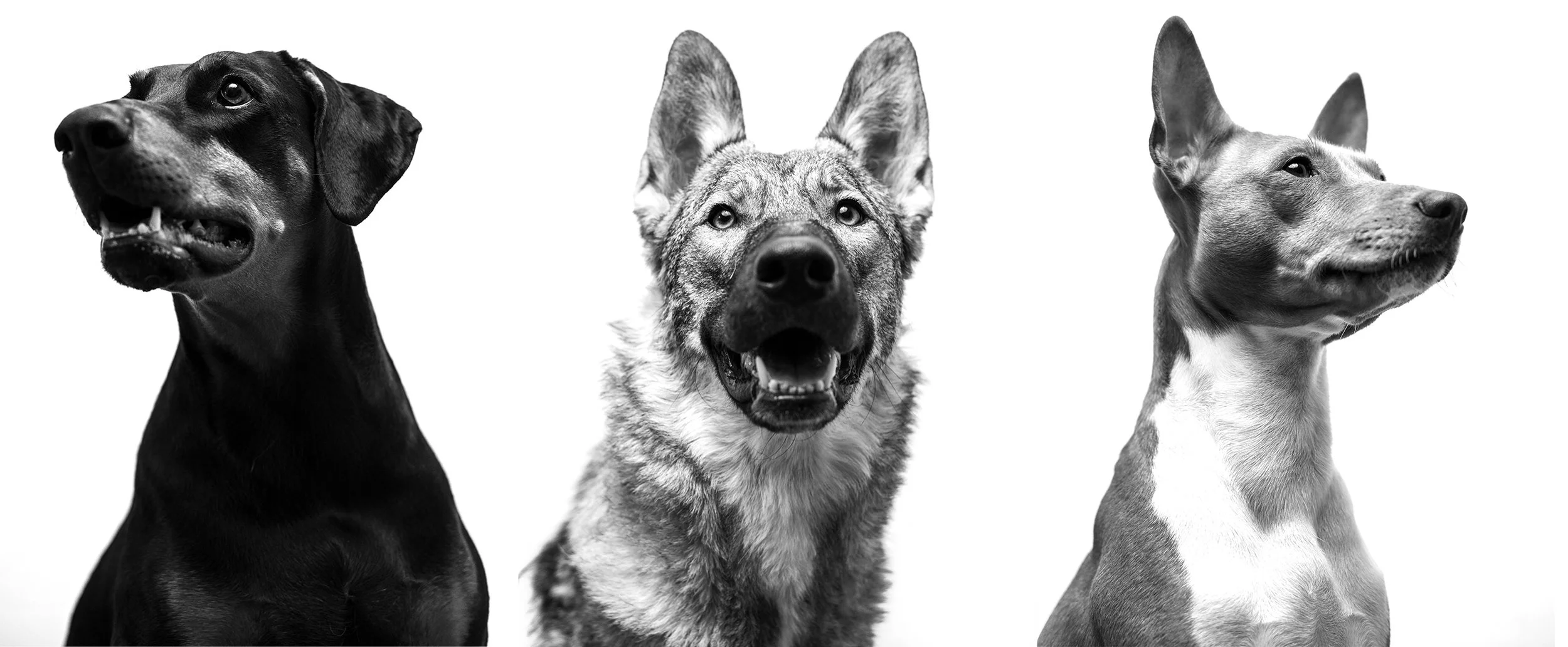 Portrait Photographer UK | Kalum Carter