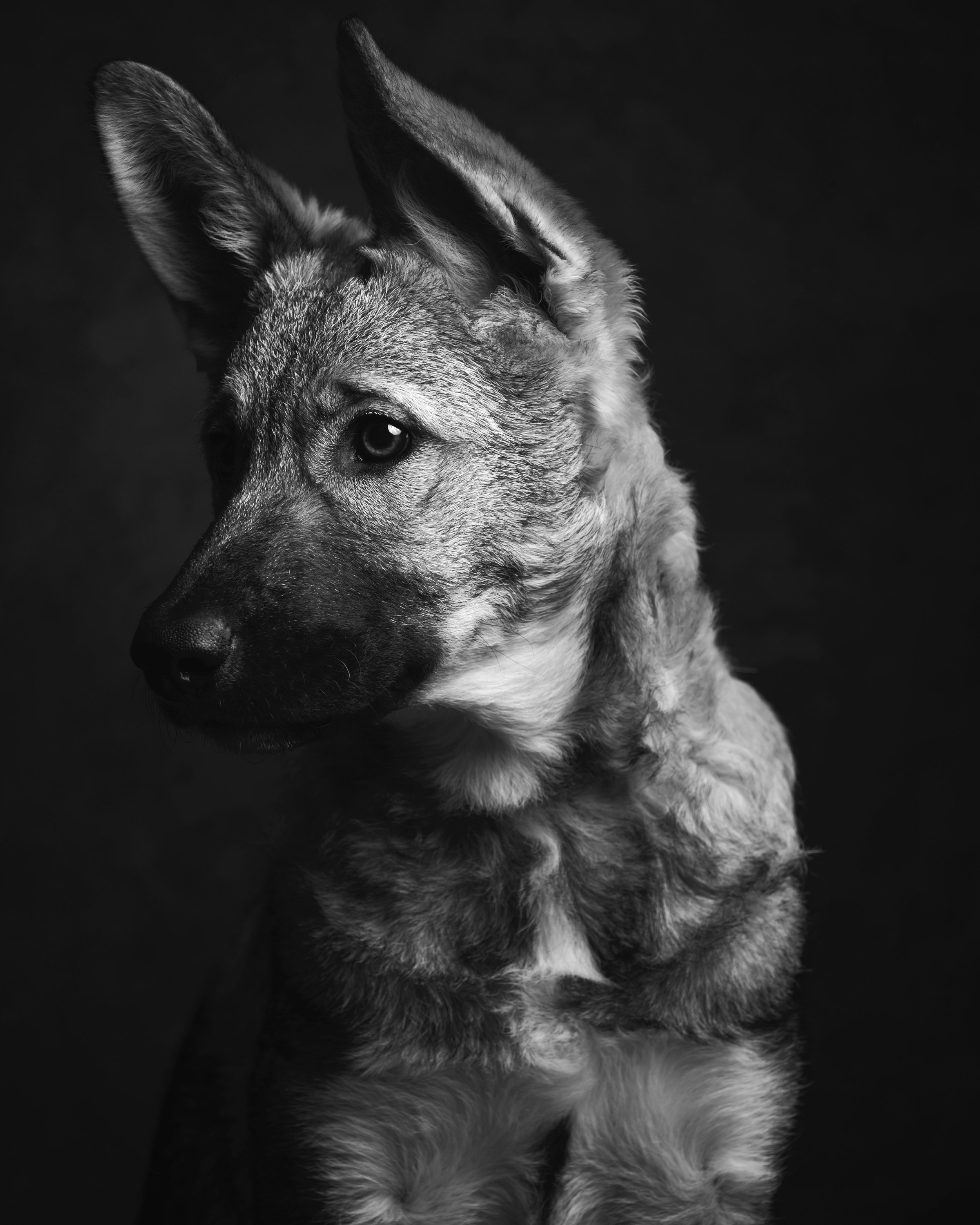 Photographer | Kalum Carter