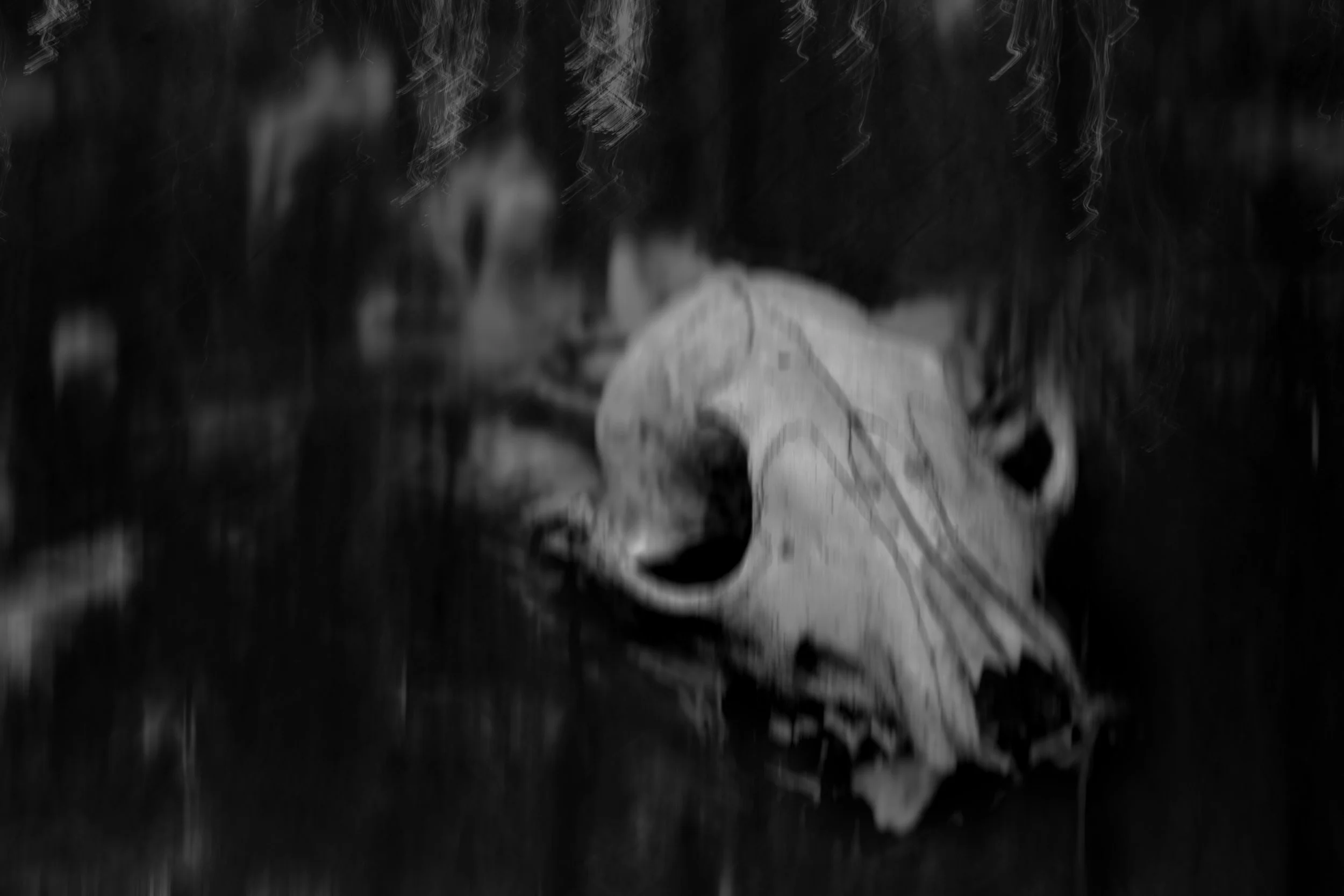 Photographer | Kalum Carter