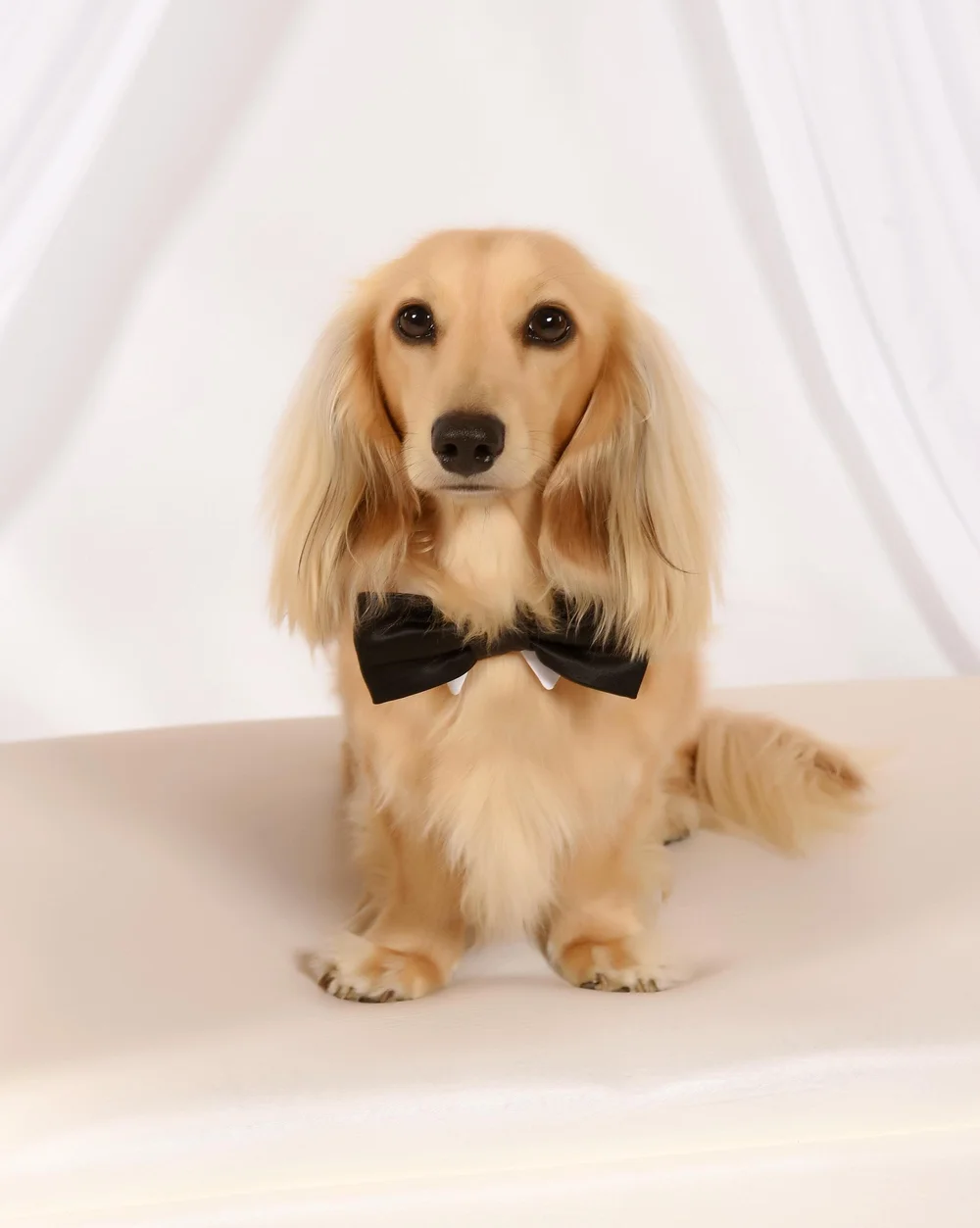 Alex Ramon Lake Tahoe Shows Magic and Entertainment