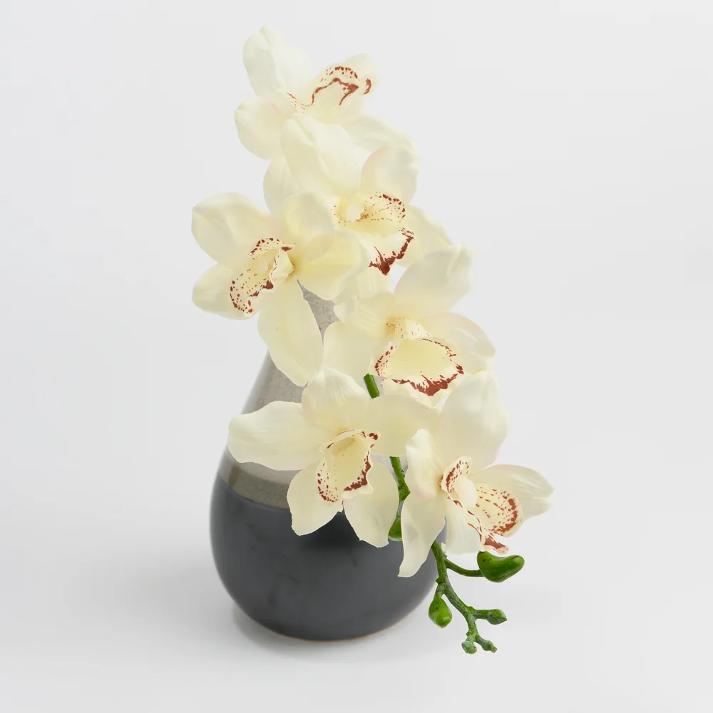 White Cymbidium Orchid Stem