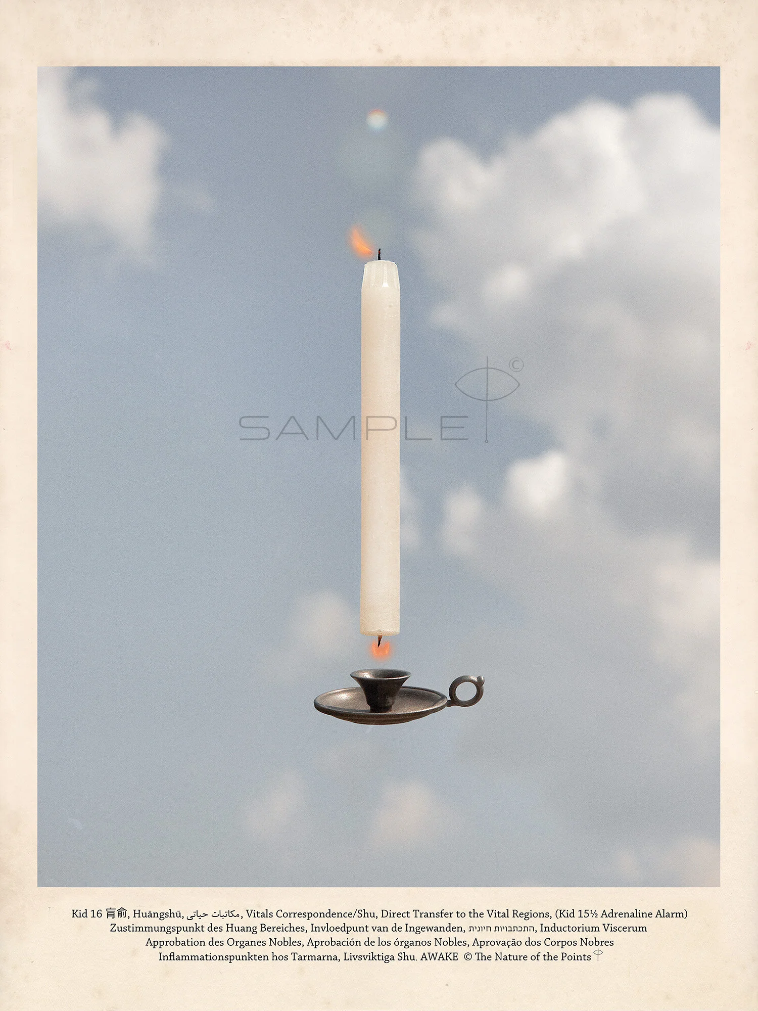 Acupoint posters — The Nature of the Points