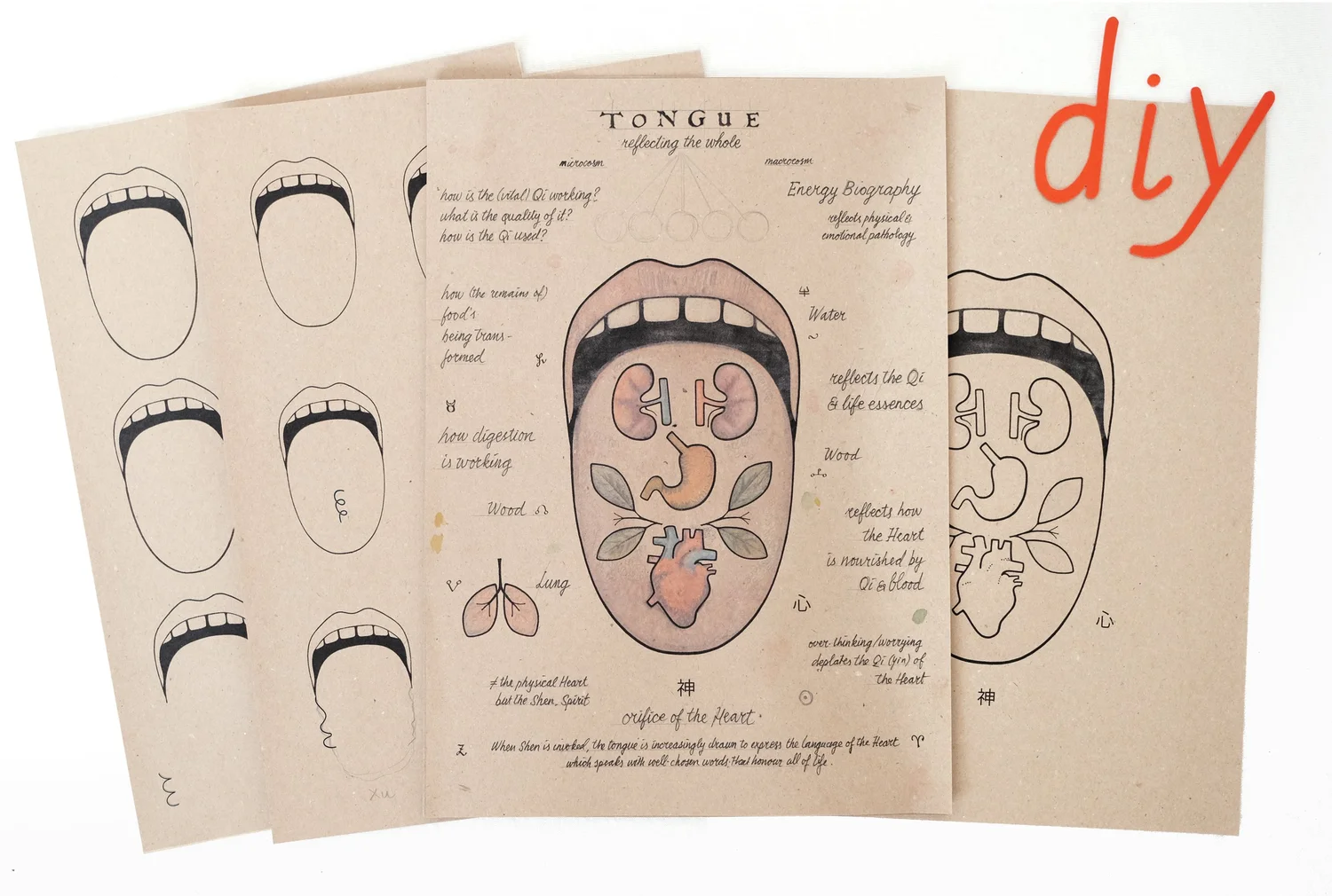 Exclusive diy: tongue chart — The Nature of the Points