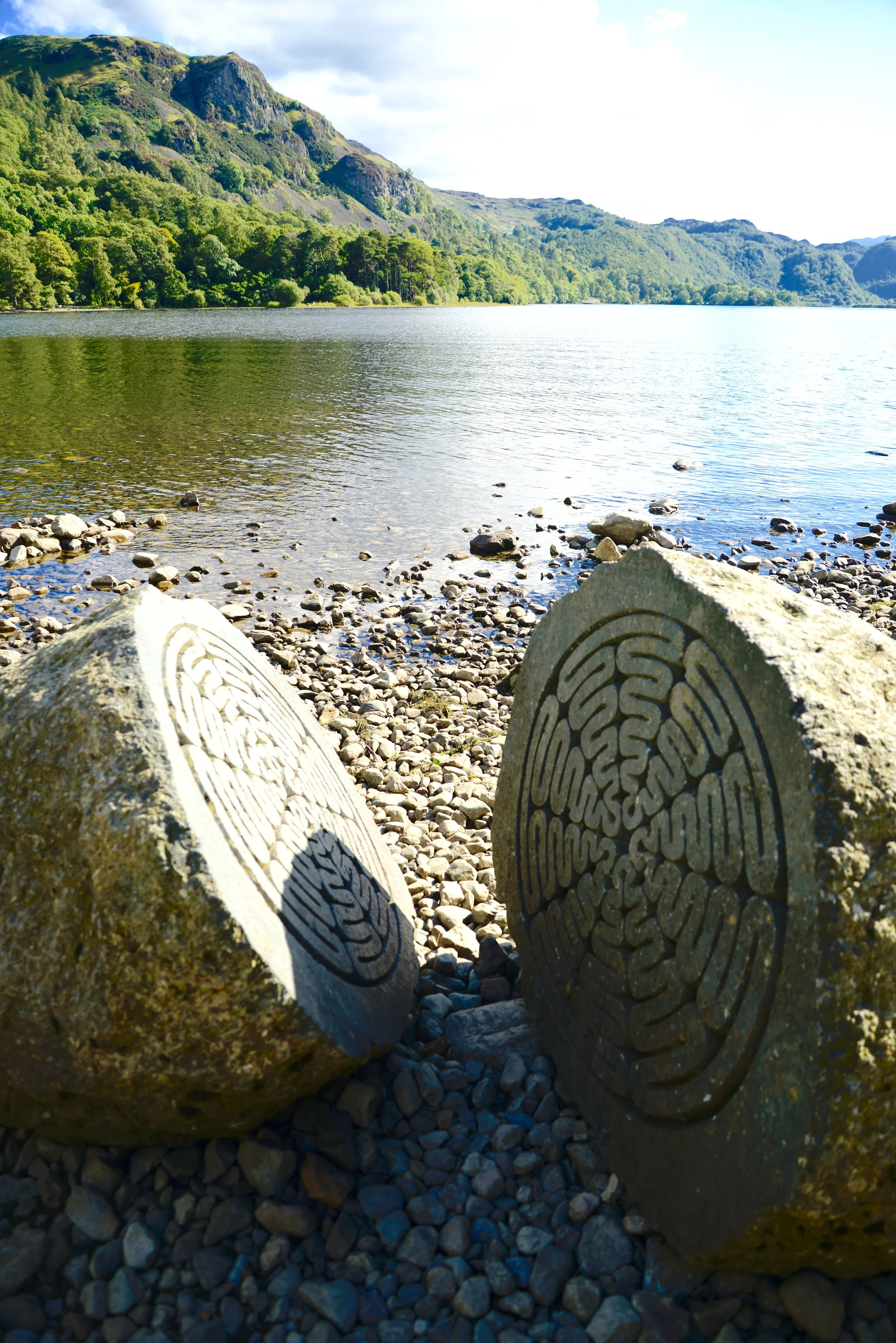 The Cumbrian Rainforest — Fell Belle