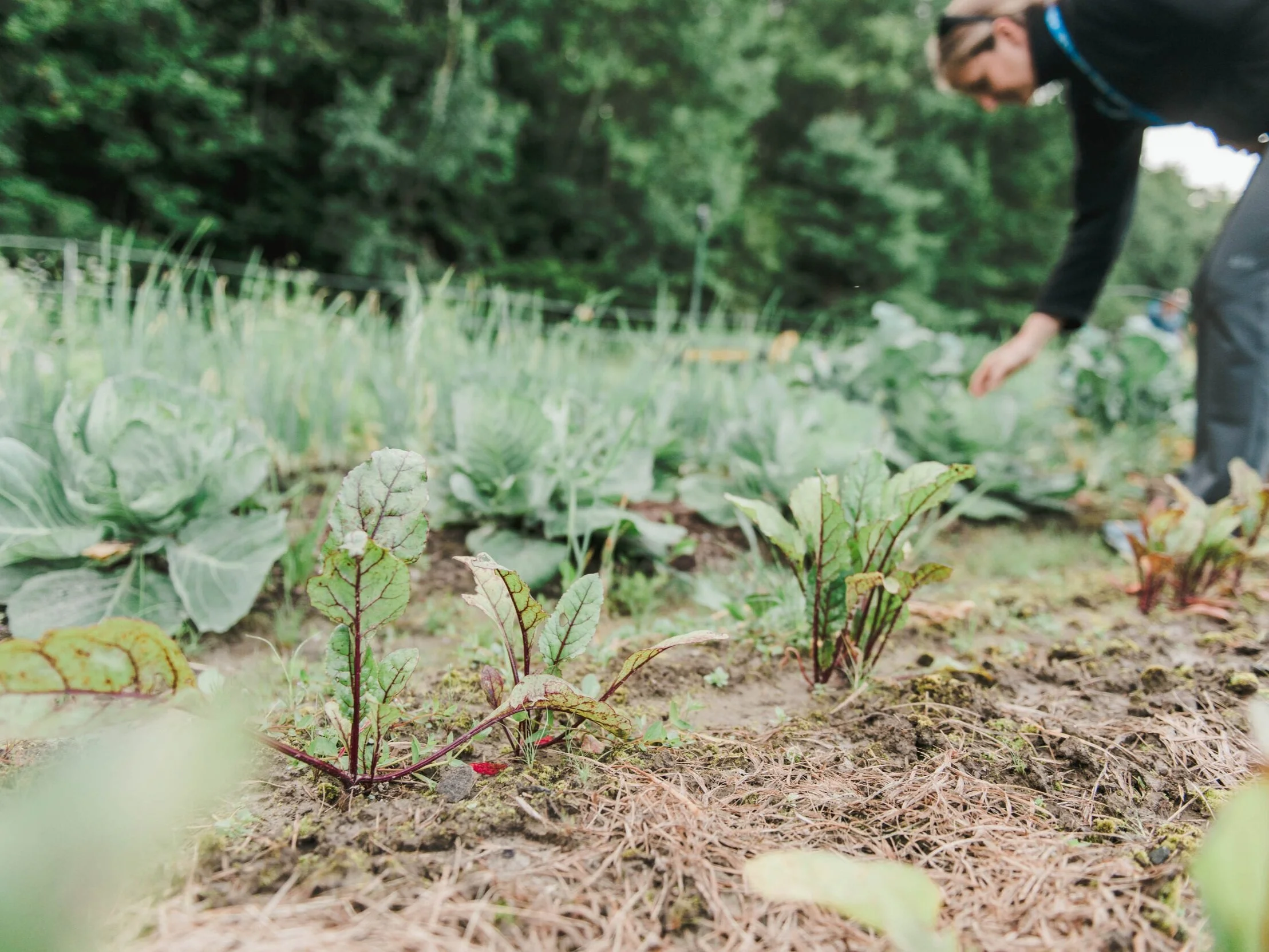 Calendar of Events — The Ecology School