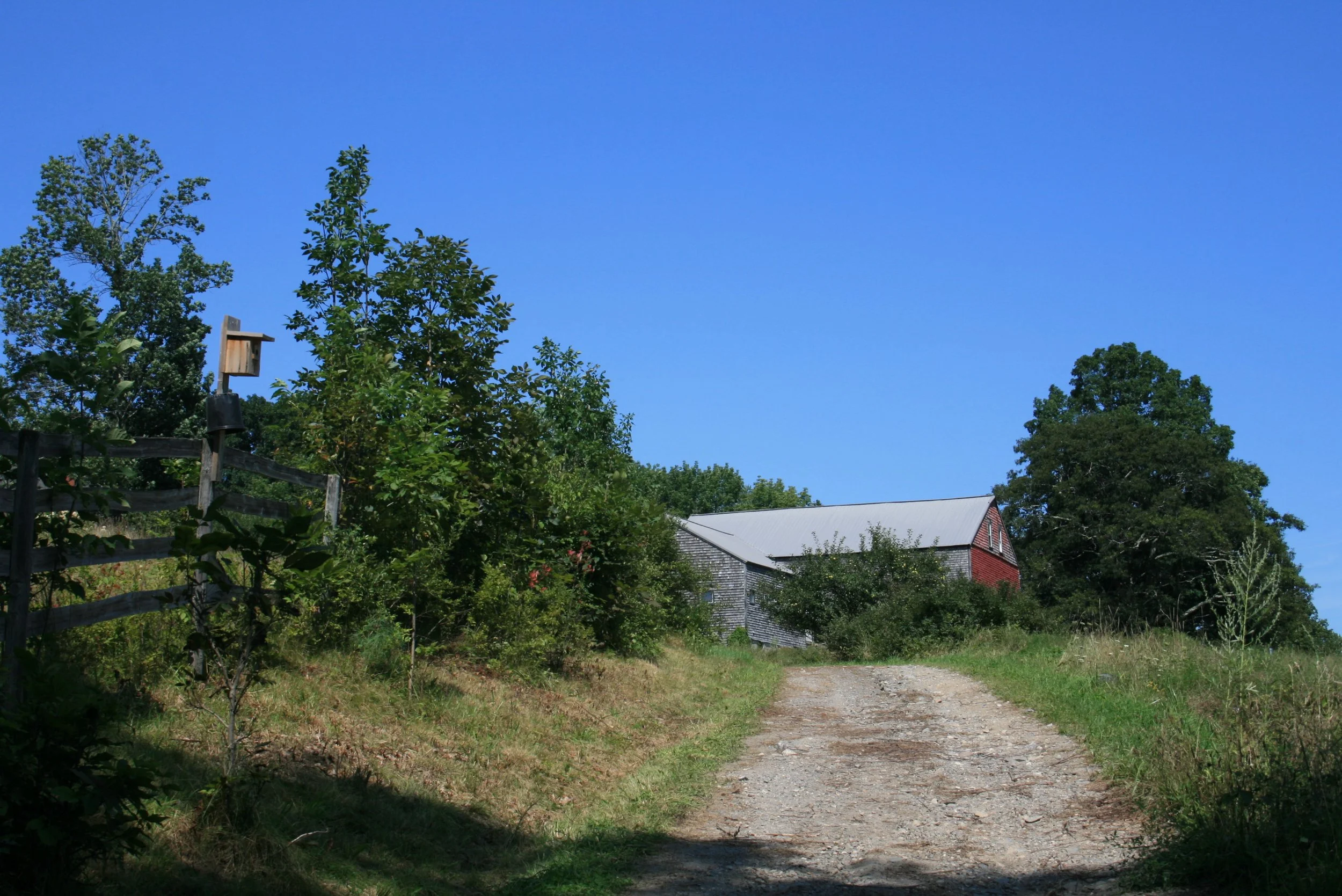 Explore Upcoming Events at The Ecology School: Join Us Today!