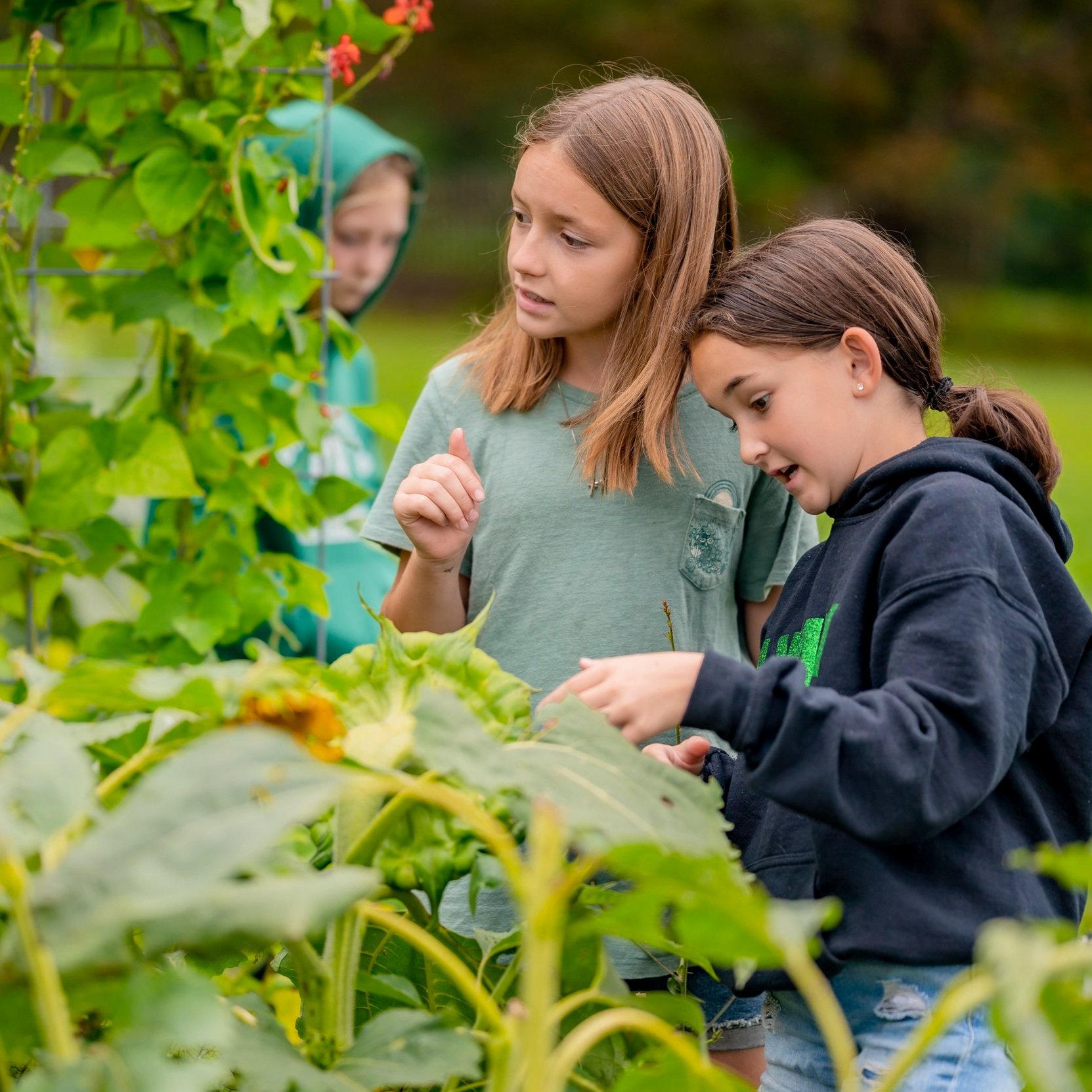 Summer Ecology Academy - Maine Camp