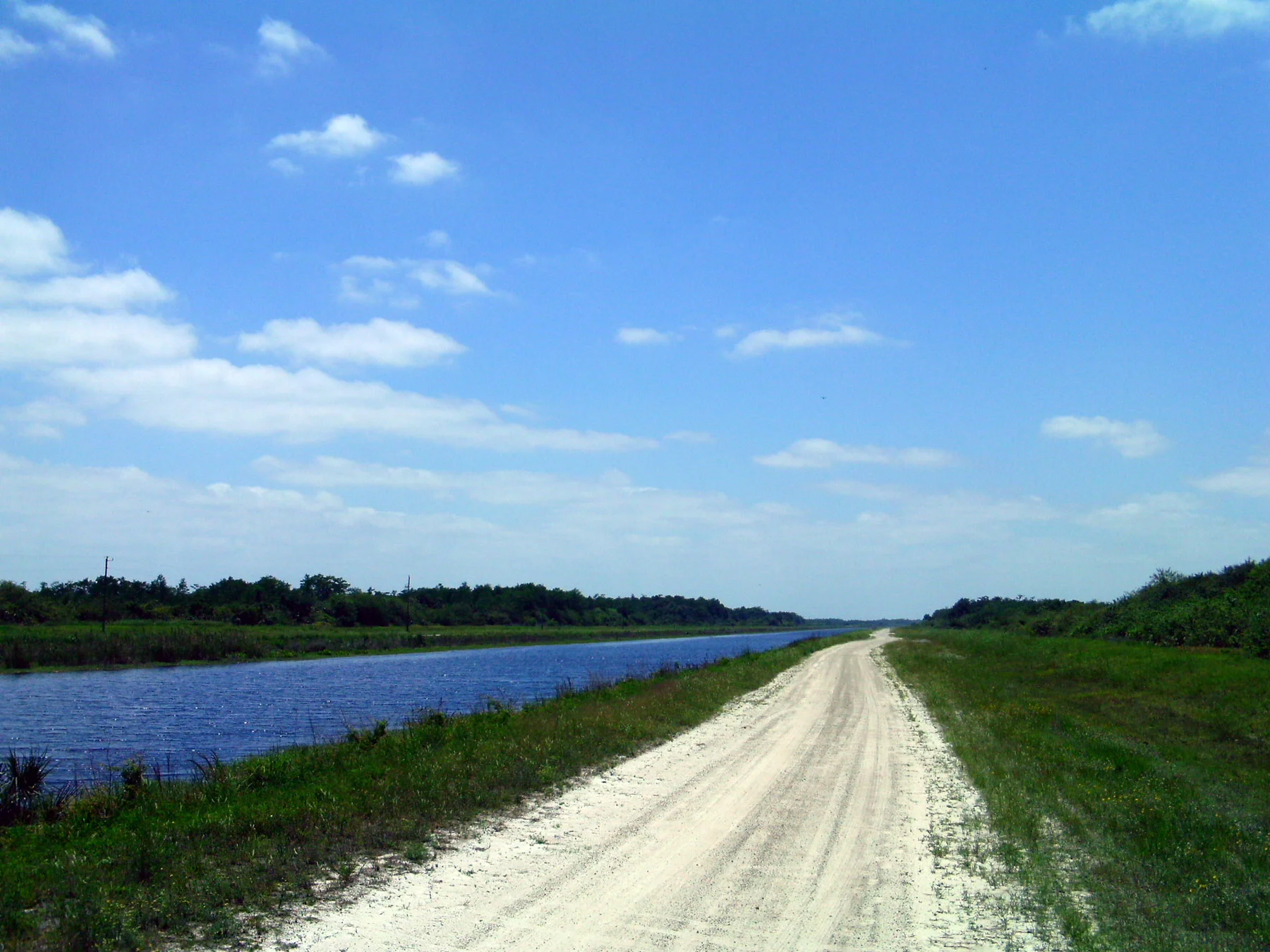 Behind the Scenes of "Bikini Swamp Girl Massacre" — Aiden Dillard