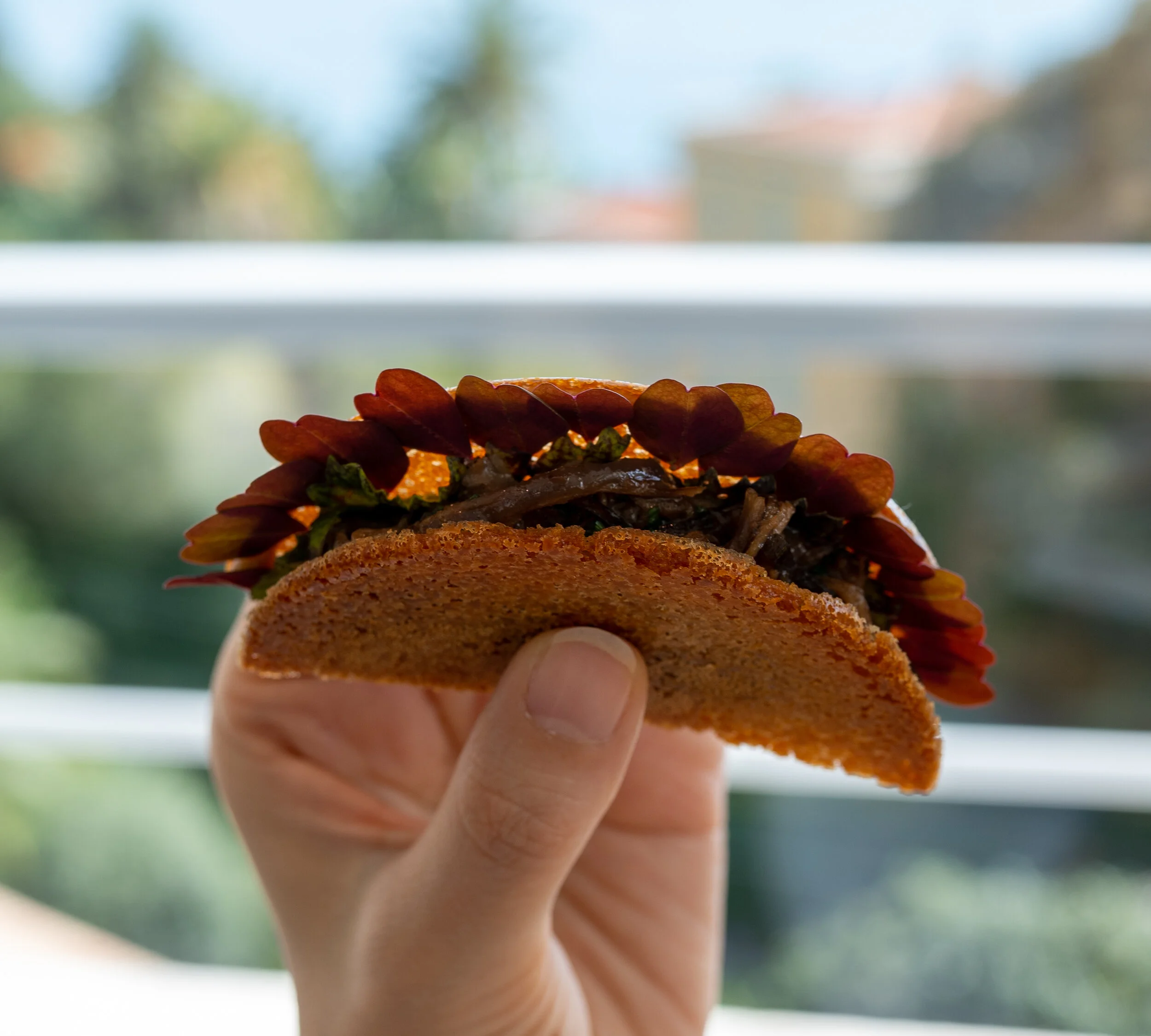 Review of Mirazur, Three Michelin star, , #1 Worlds 50 Best Restuarants ...