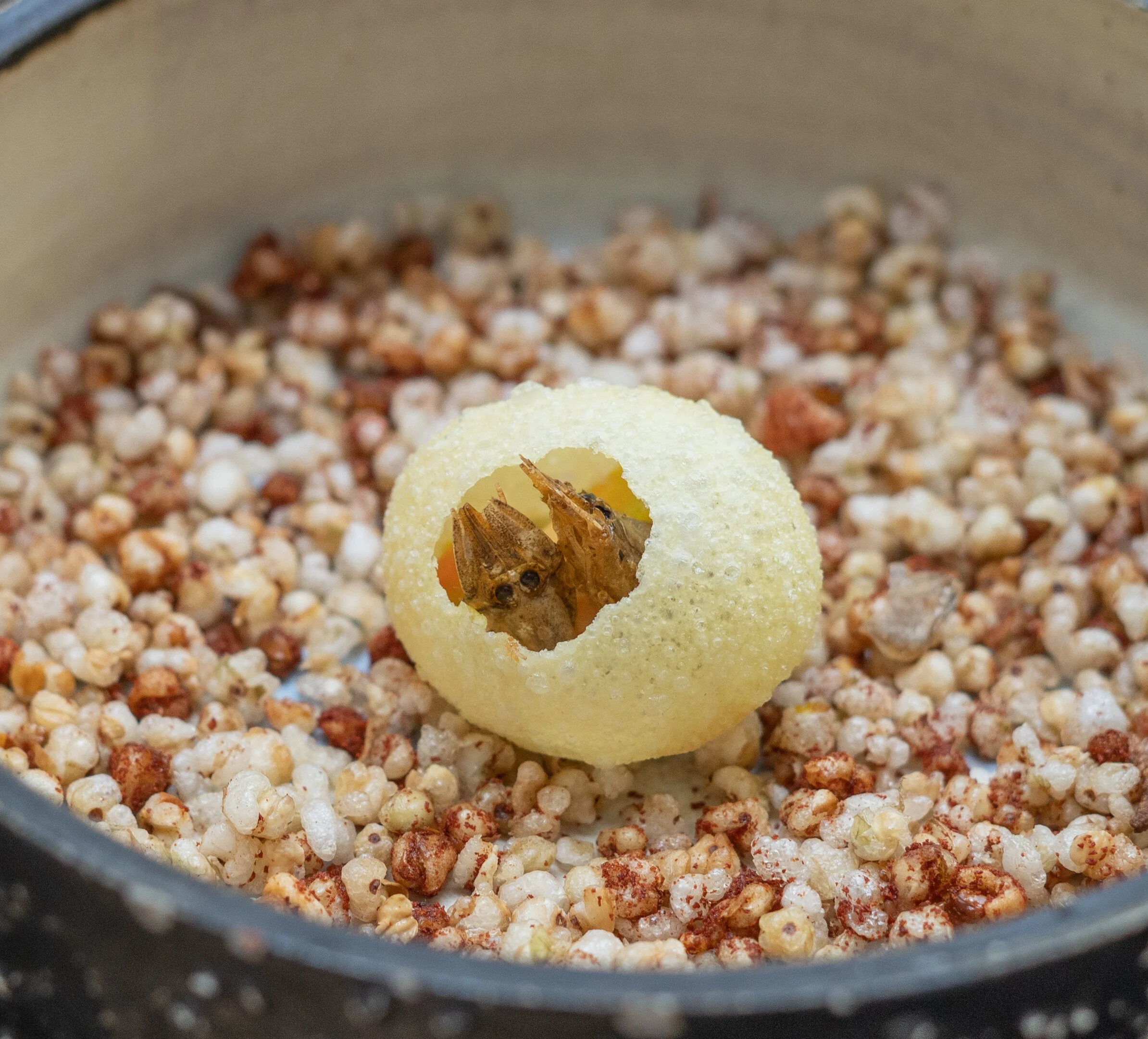 De Librije Review - Zwolle Netherlands Three Michelin Star — Accounting ...