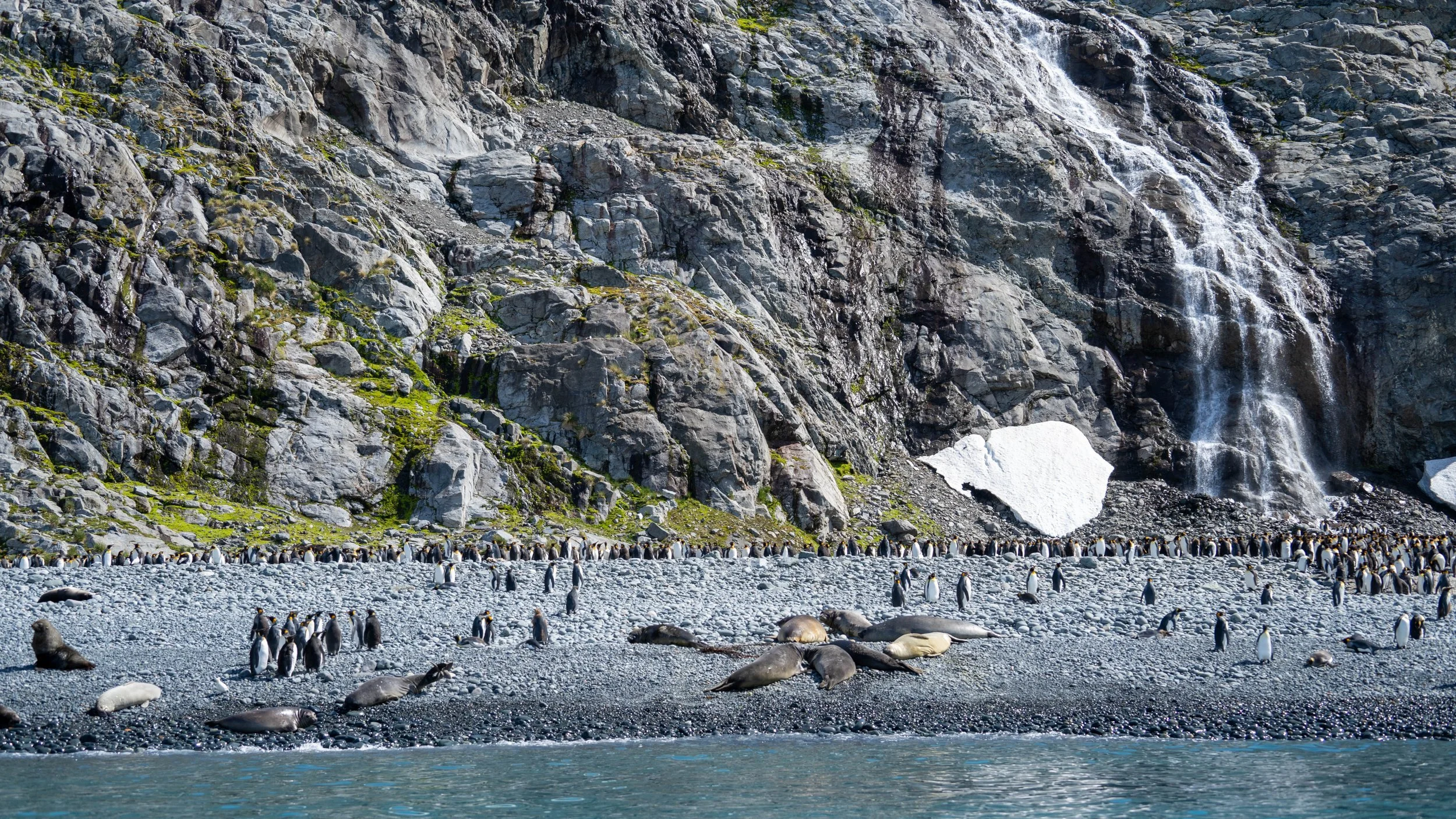 Albatros Expedition Antarctica Ocean Victory Review — Accounting For Taste