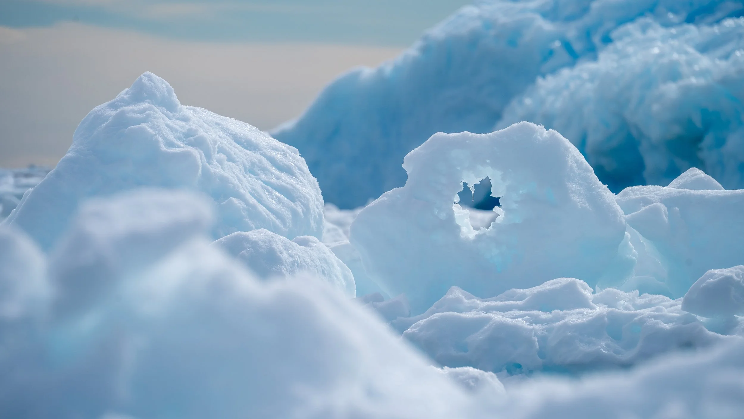 Albatros Expedition Antarctica Ocean Victory Review — Accounting For Taste