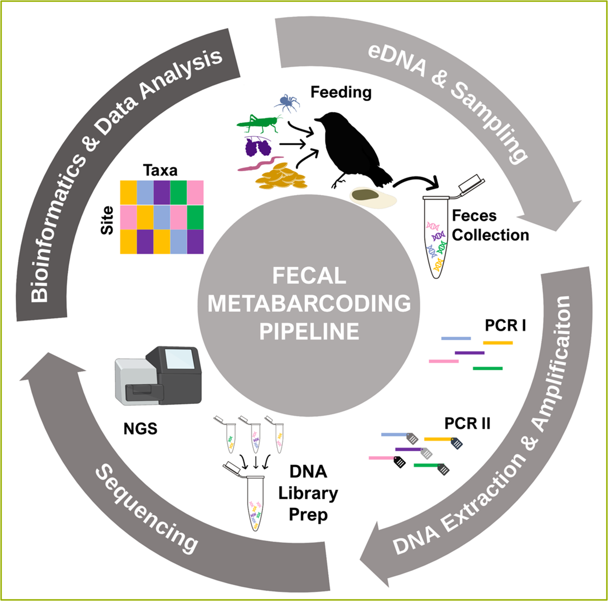 Fecal eDNA Metabarcoding — Zacchaeus Greg Compson