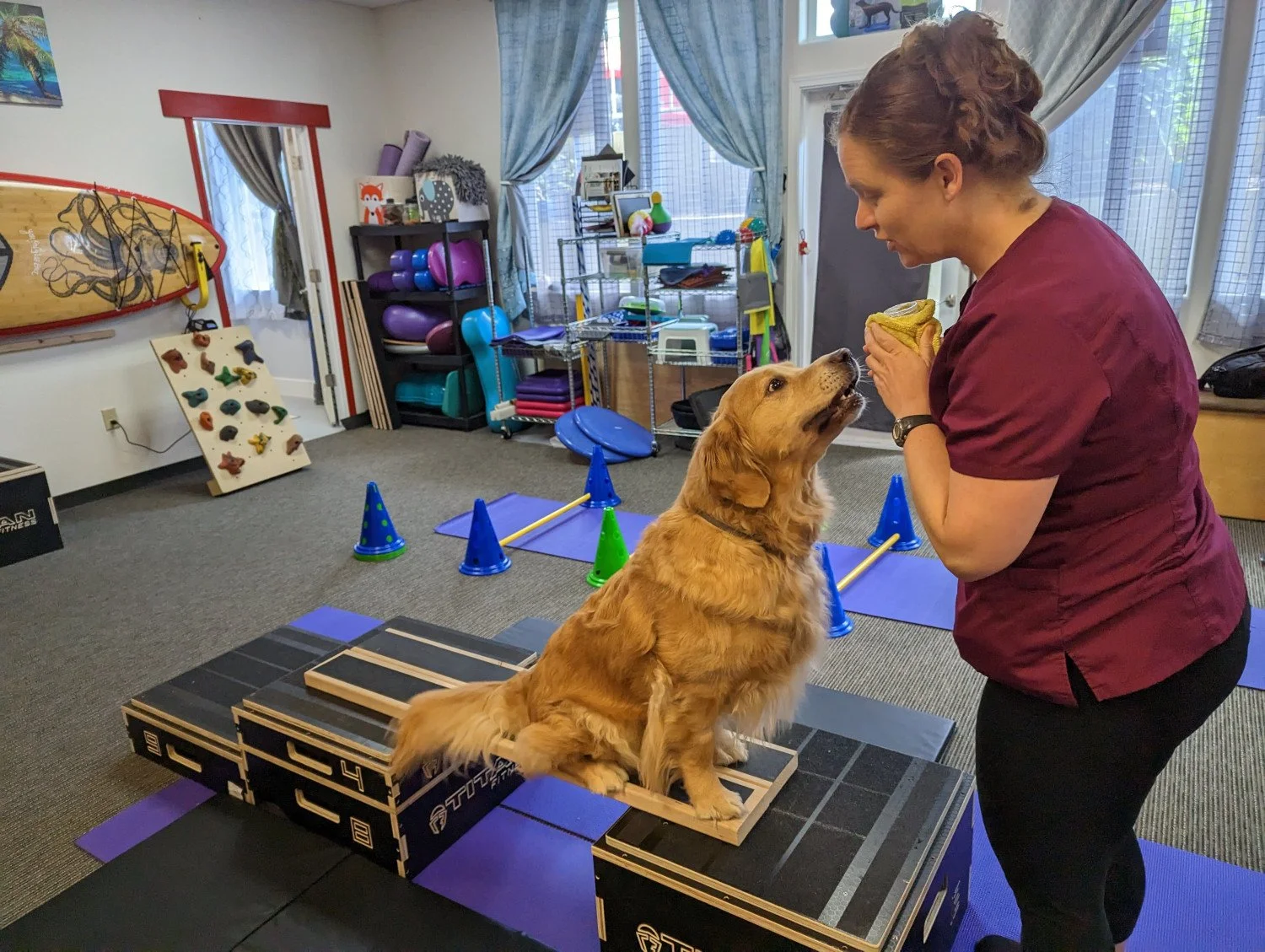 Ruff Day Veterinary Services LLC