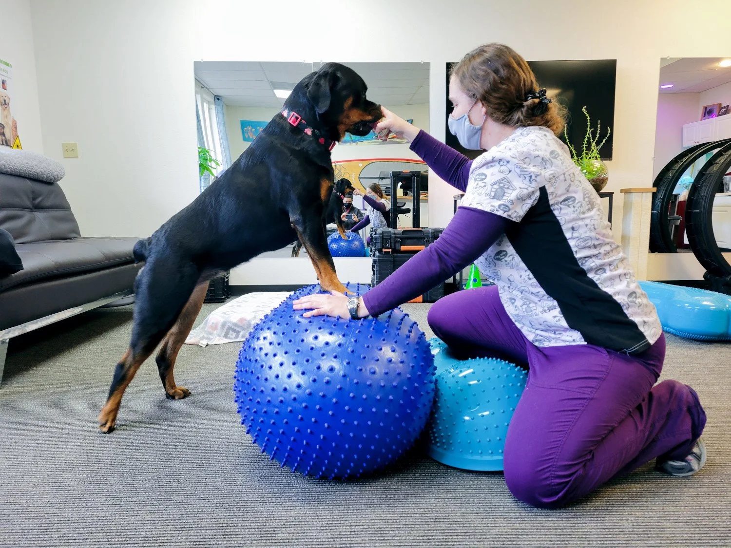 Ruff Day Veterinary Services LLC