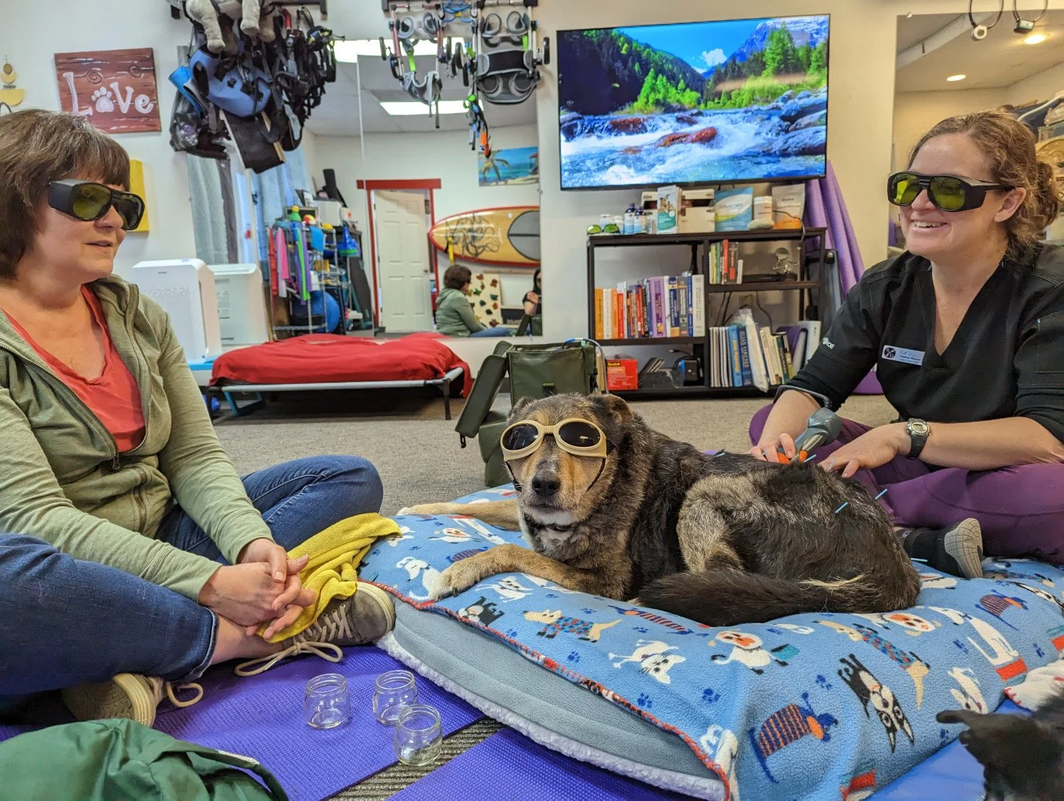 Ruff Day Veterinary Services LLC