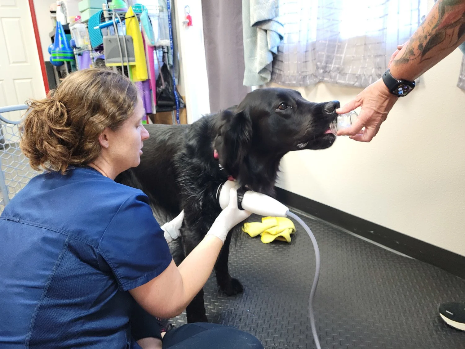 Ruff Day Veterinary Services LLC