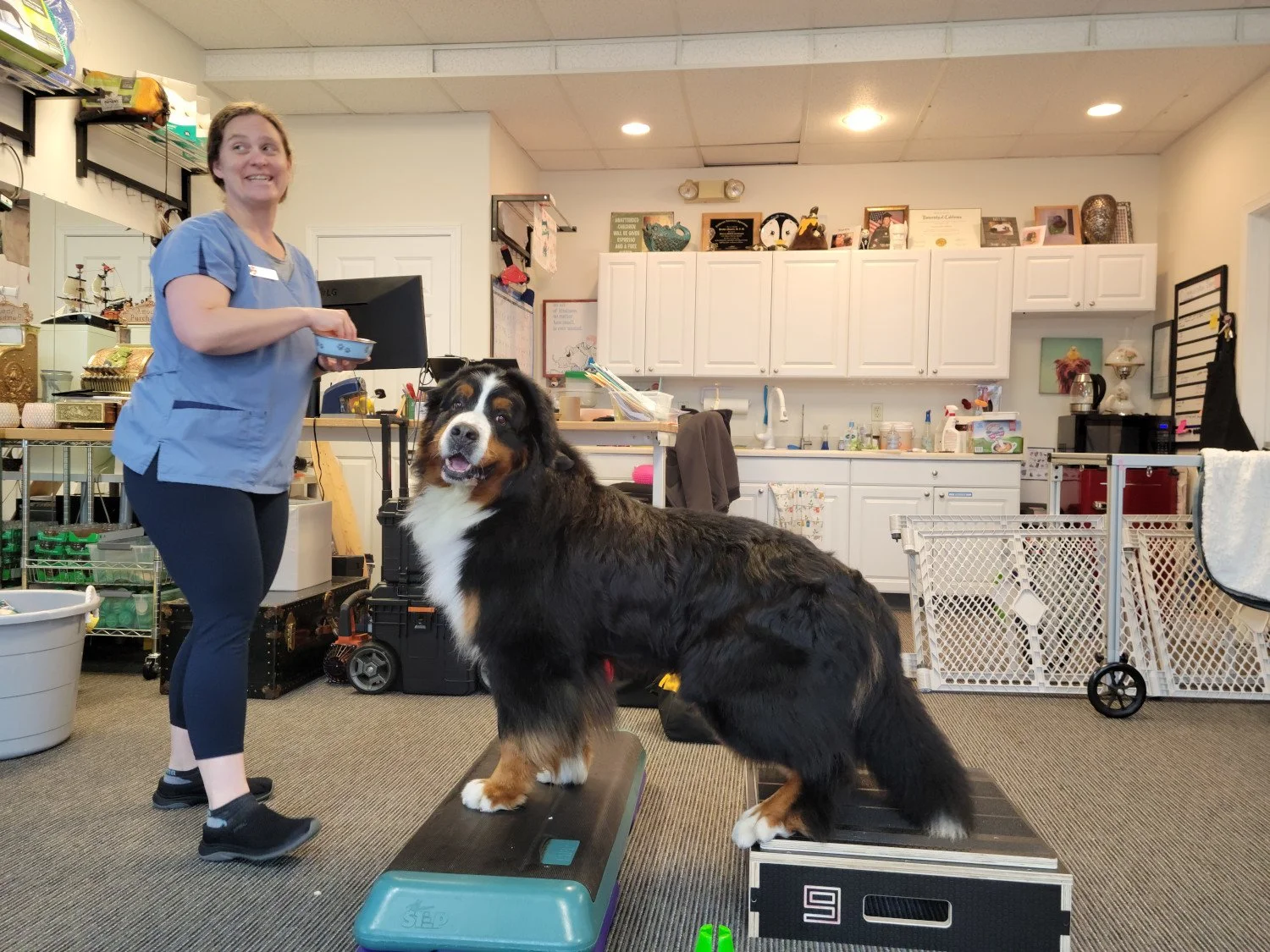 Ruff Day Veterinary Services LLC