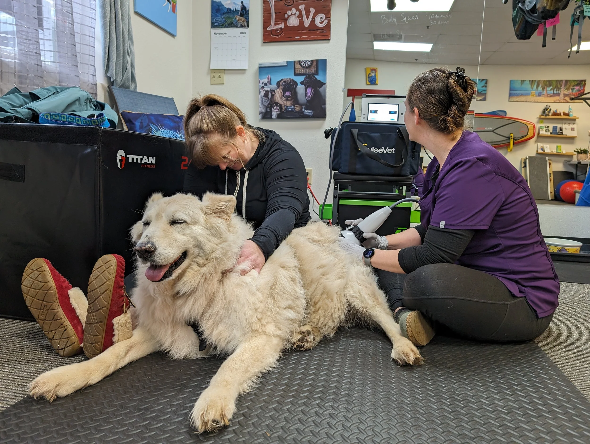 Ruff Day Veterinary Services LLC