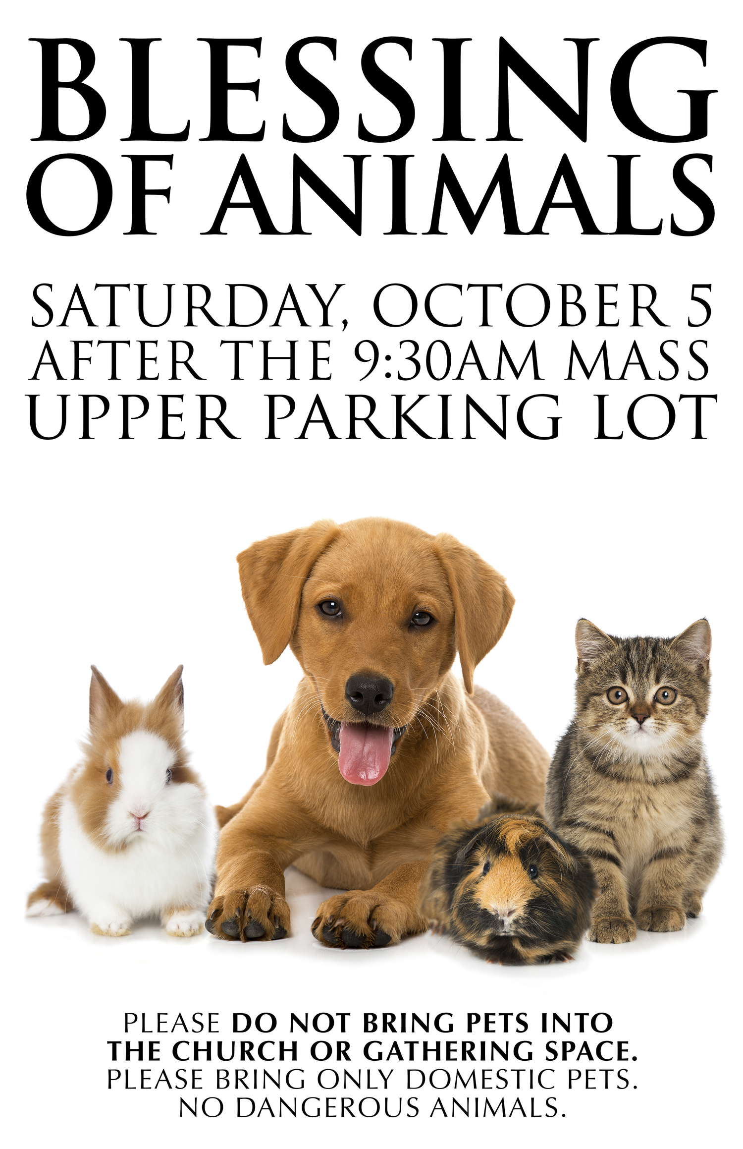 Blessing of Animals — SJB