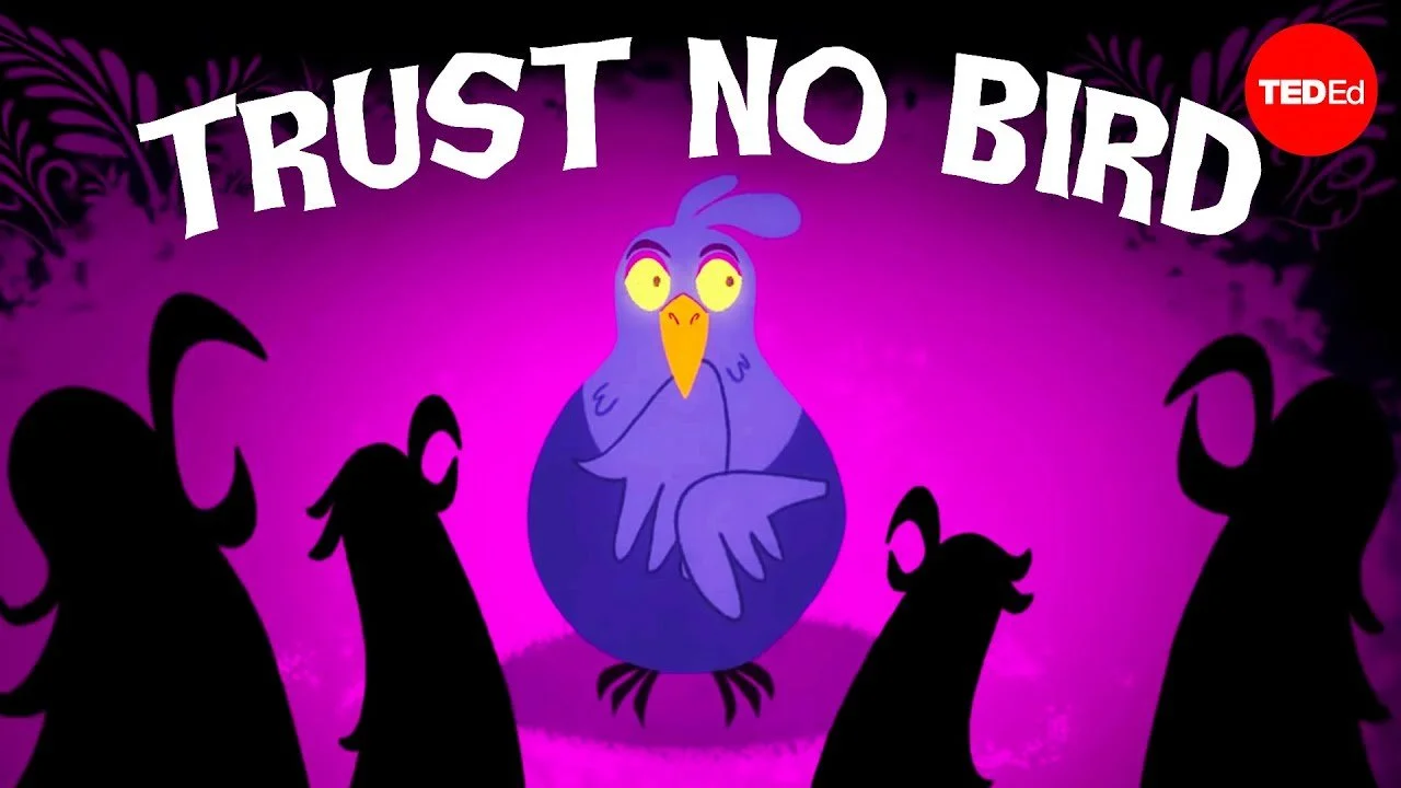 Cella Wright: Projects and Work — Cella Wright