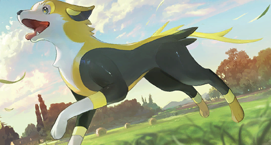 What to Play - Budget — JustInBasil's Pokémon TCG Resources