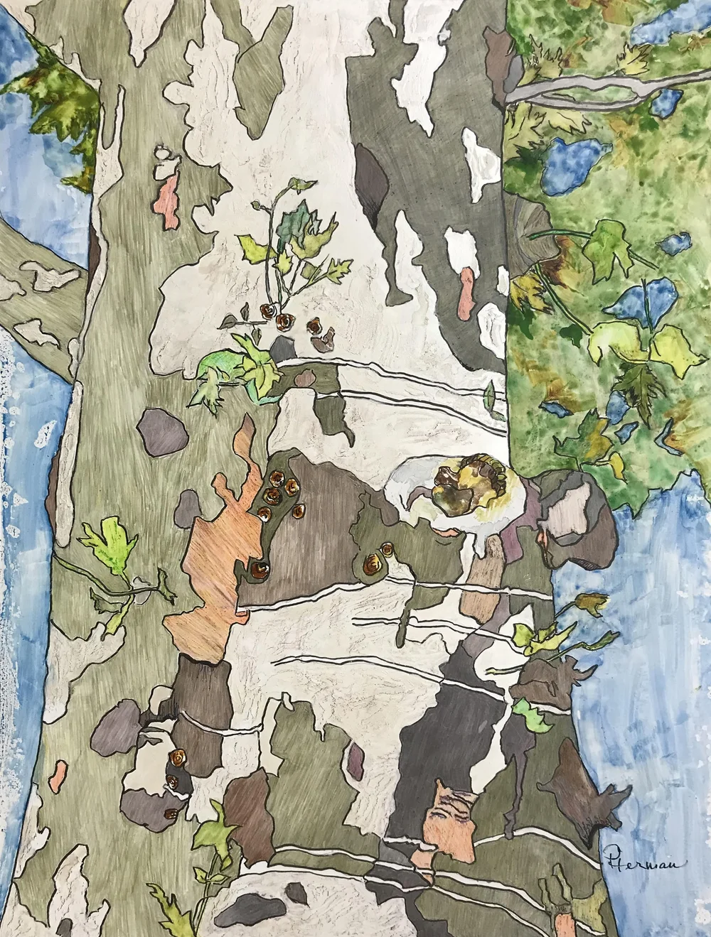 July Artist Pat Herman — PAN-O-PLY