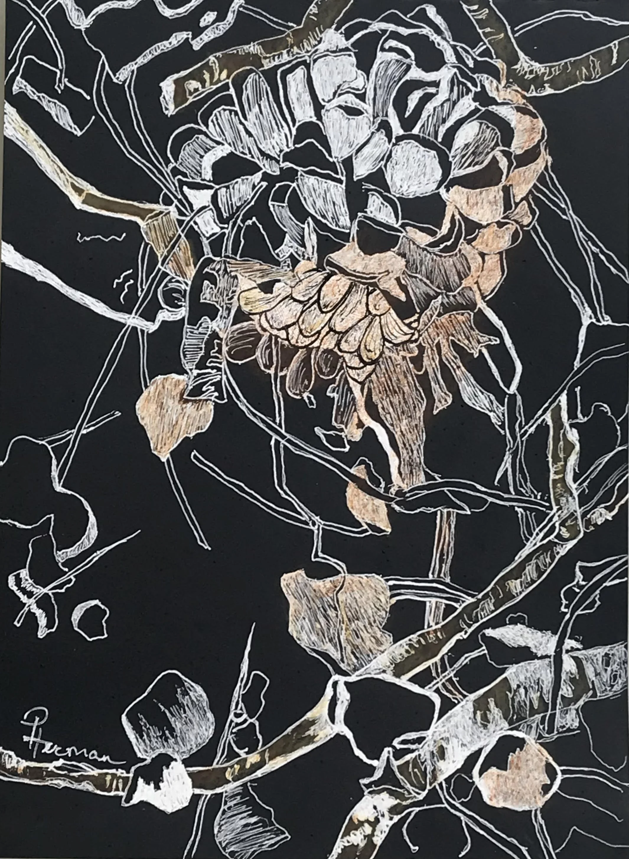 July Artist Pat Herman — PAN-O-PLY