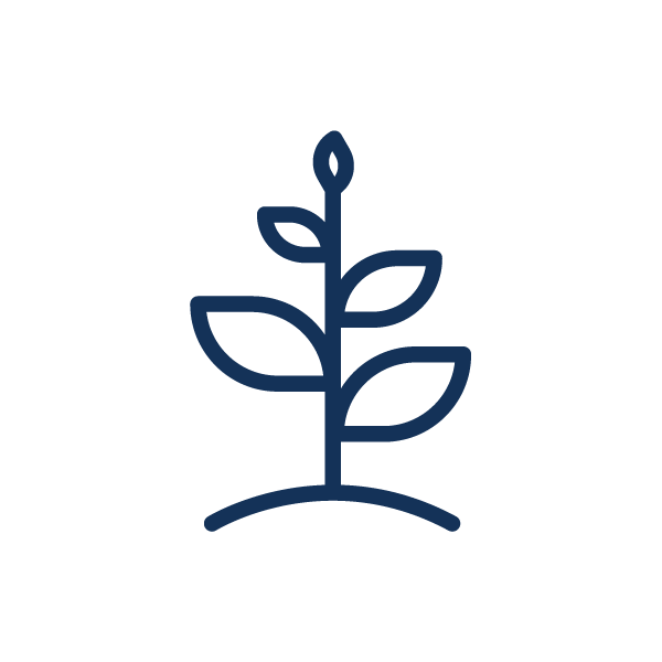 Homestead America — Homestead Companies