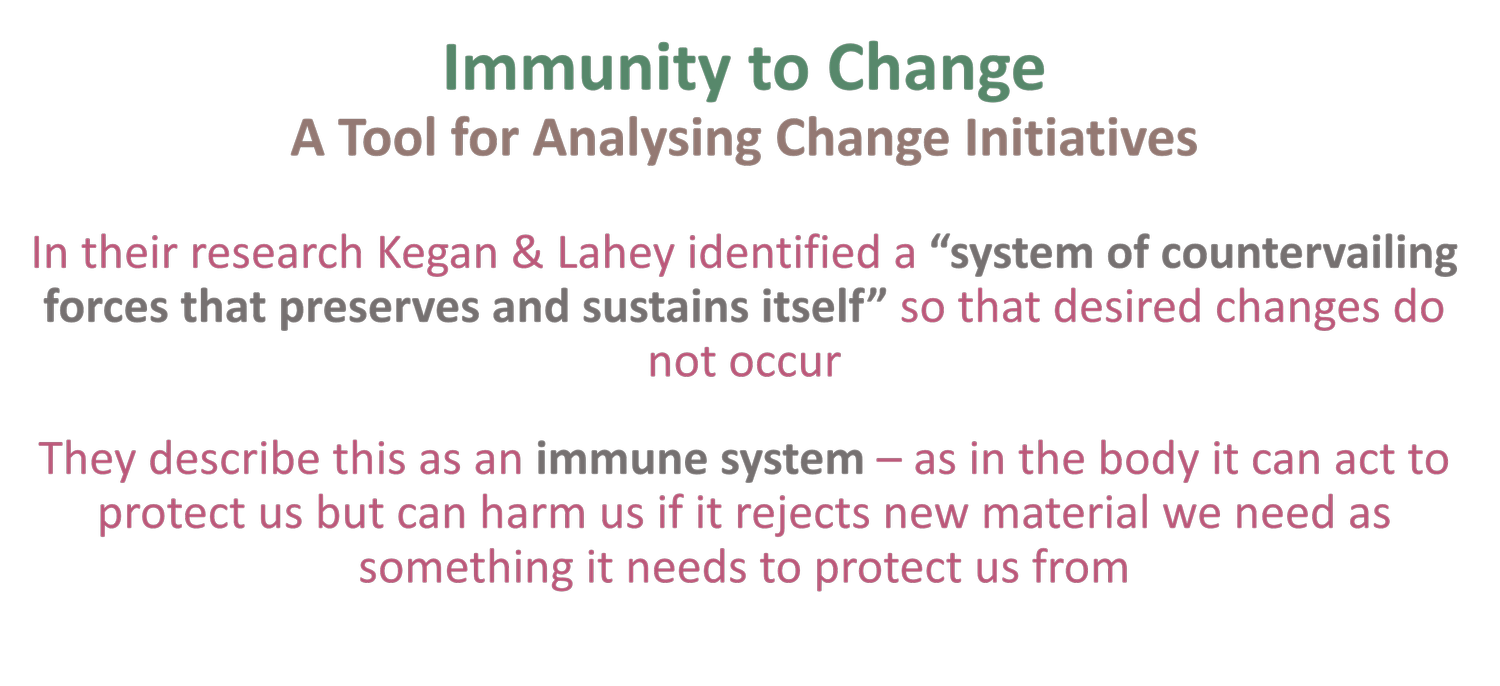 Culture Change Tools - Immunity Mapping and Hybrid Working