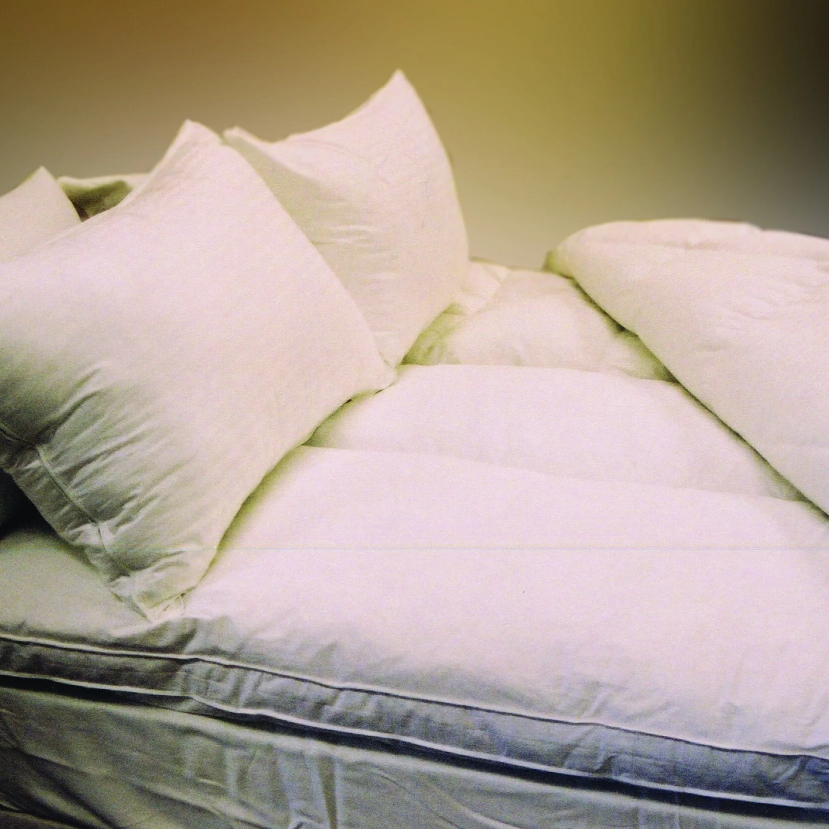 Northern Feather Canada