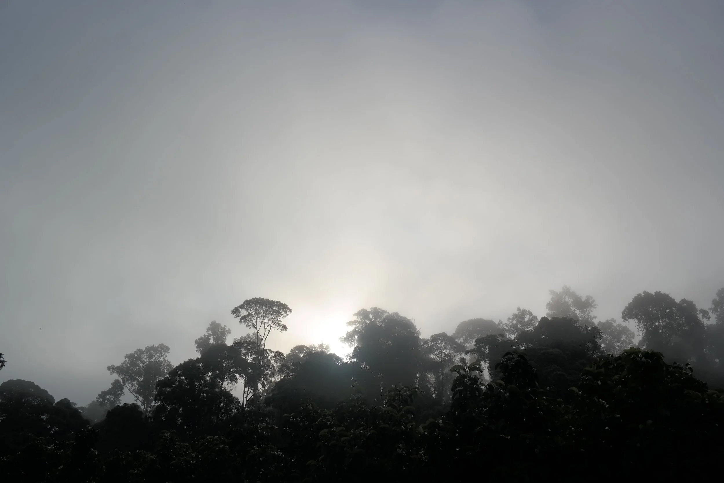 Kenneth Tan Design Architect (KTDA)