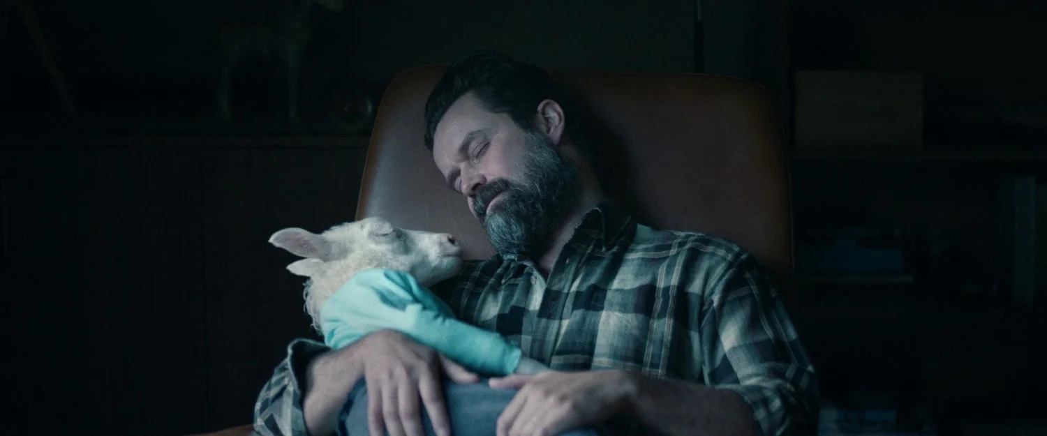 The meaning behind A24's Icelandic horror film Lamb (2021) — Cate Crafter