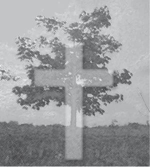 The Caste War, the Church of the Speaking Cross, and the Cruzob Maya ...
