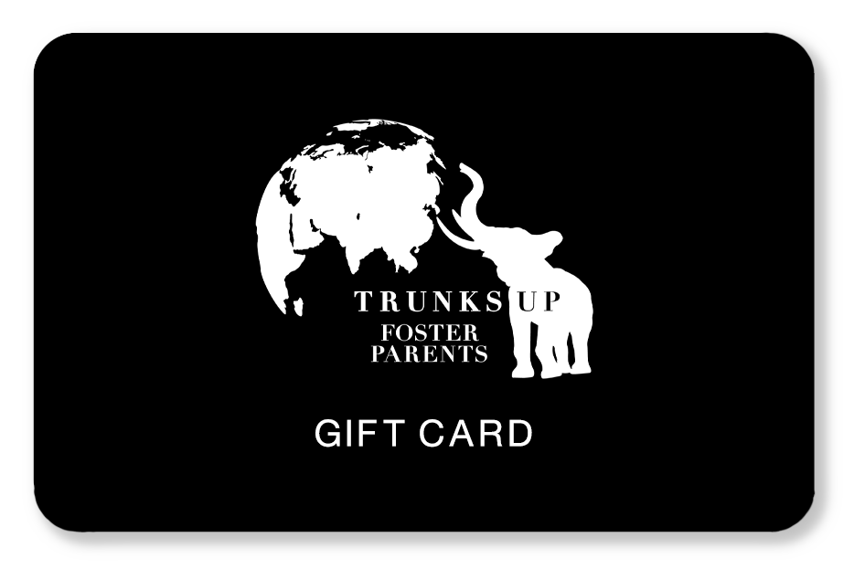 Gift Card For Sweet Treats Trunks Up Gift Card For Sweet Treats Trunks Up