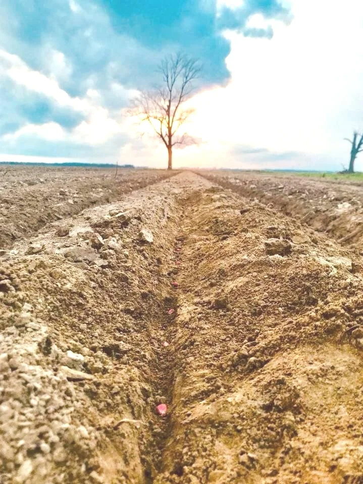 Delta Precision Systems, Inc.