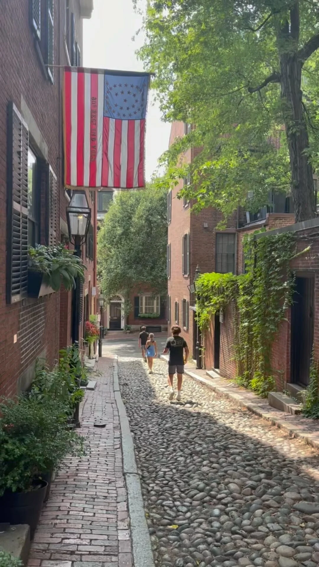 Portfolio — Snyder & Co.