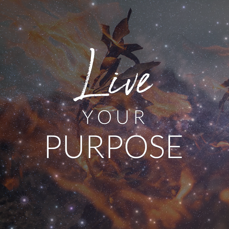 Live Your Purpose — Past Lives & the Divine