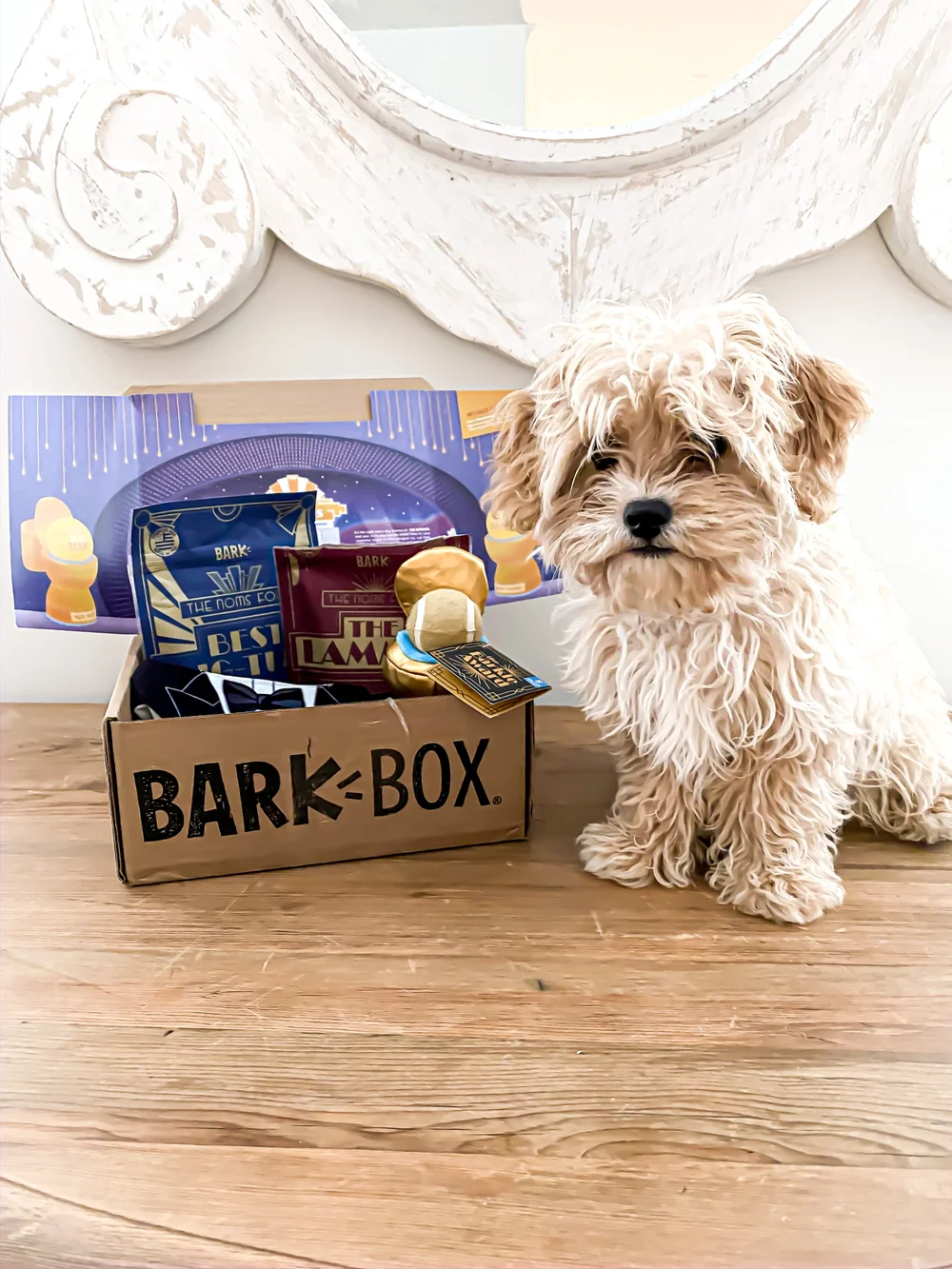 What Comes In A Barkbox For Small Dogs
