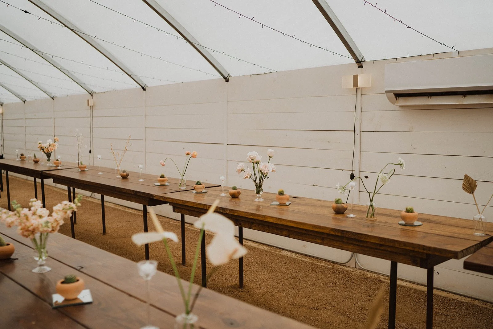 Abbie + Robbie — Camino Real Ranch